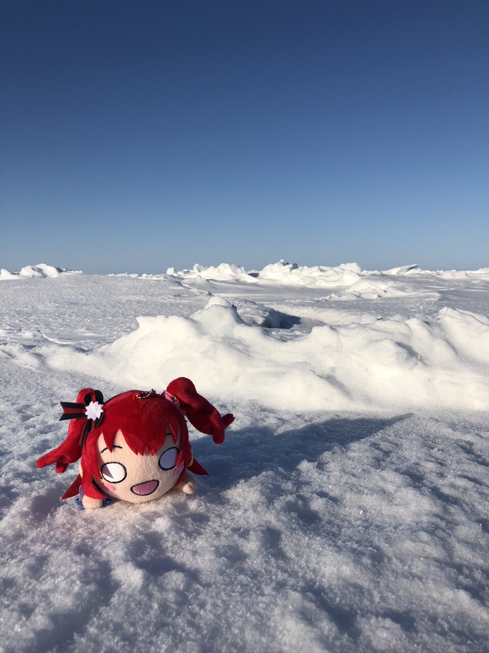 komeのページ | YAMAP / ヤマップ