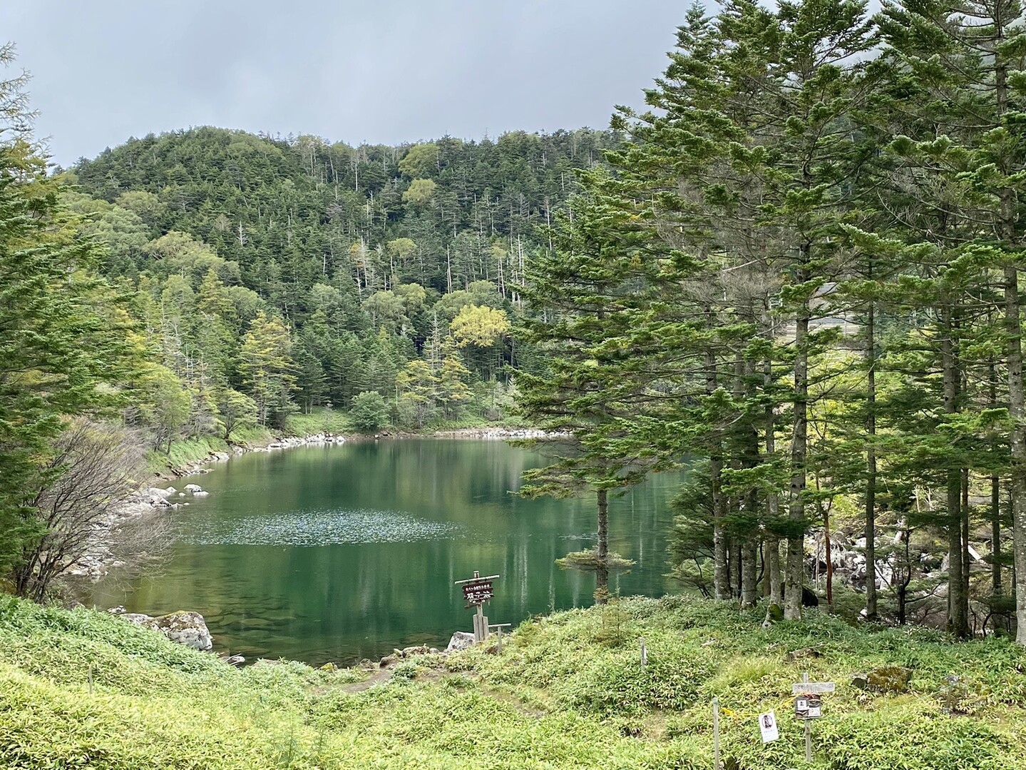 双子山・双子池（北八ヶ岳） / YaMaPeeさんの蓼科山・横岳・縞枯山の活動データ | YAMAP / ヤマップ