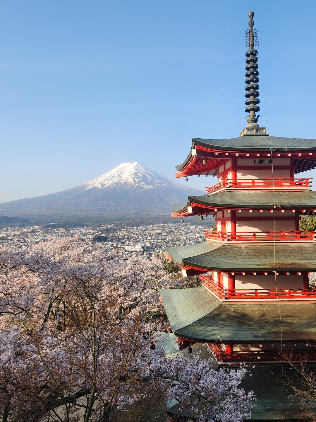 新倉浅間神社から三ツ峠山 / SUGAMIさんの三ッ峠山・本社ヶ丸・鶴ヶ鳥屋山の活動データ | YAMAP / ヤマップ