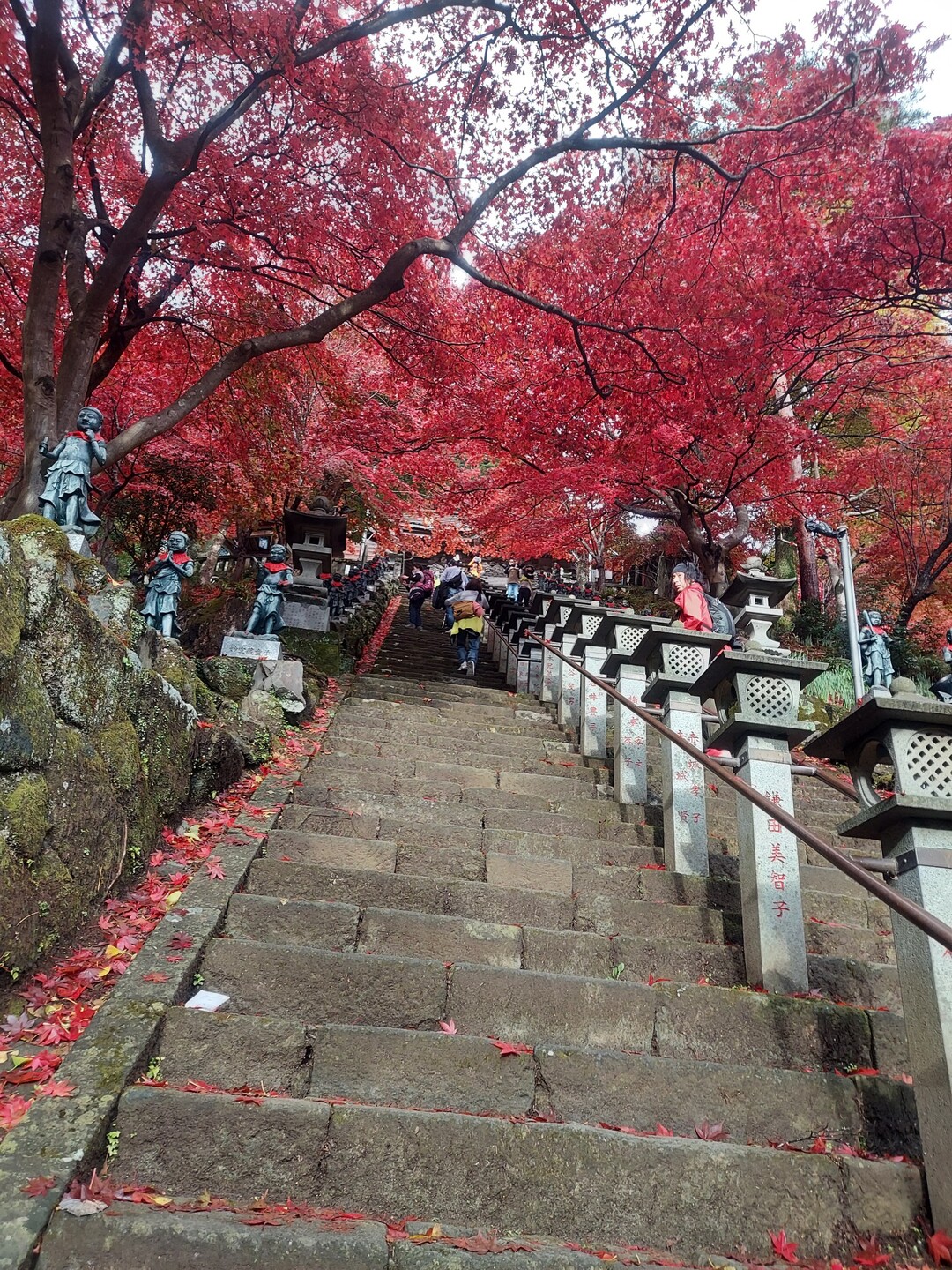 大山 / nobssさんの大山の活動データ | YAMAP / ヤマップ