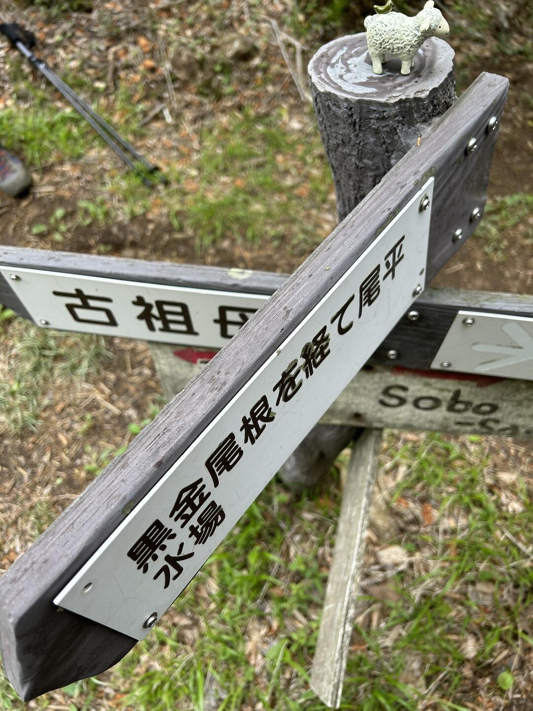 黒金尾根から宮原ルート KNGC発 / ムンマさんの祖母山の活動データ | YAMAP / ヤマップ