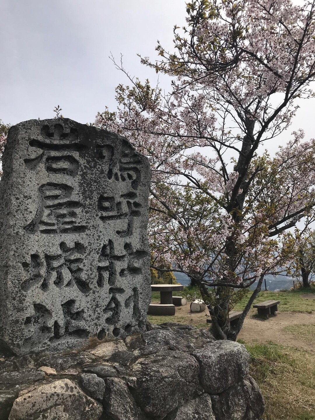 岩屋山🌸 / MM45さんの宝満山・三郡山・若杉山の活動データ | YAMAP / ヤマップ