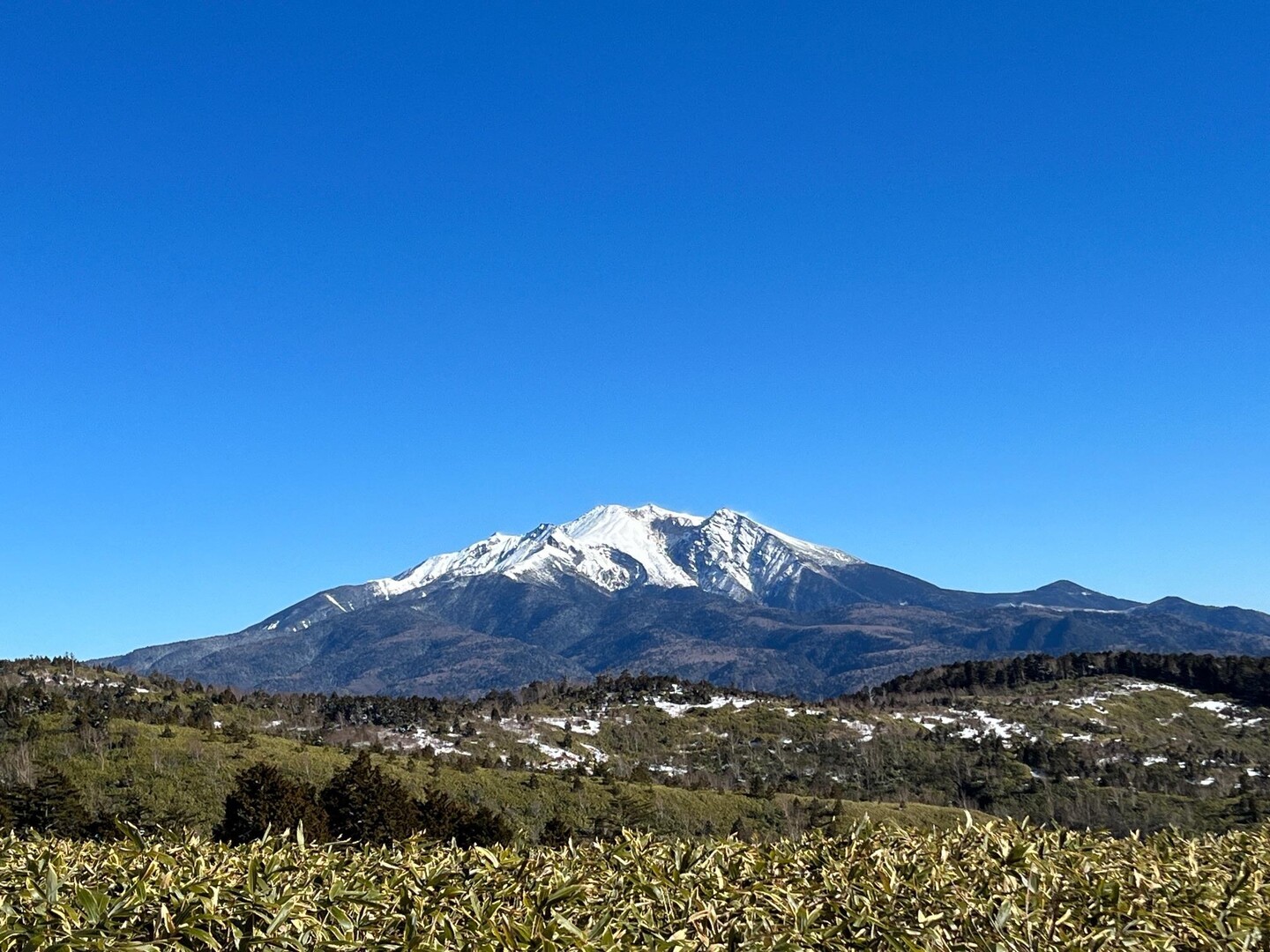 白草山 / yuriさんの白草山・寺田小屋山の活動データ | YAMAP / ヤマップ