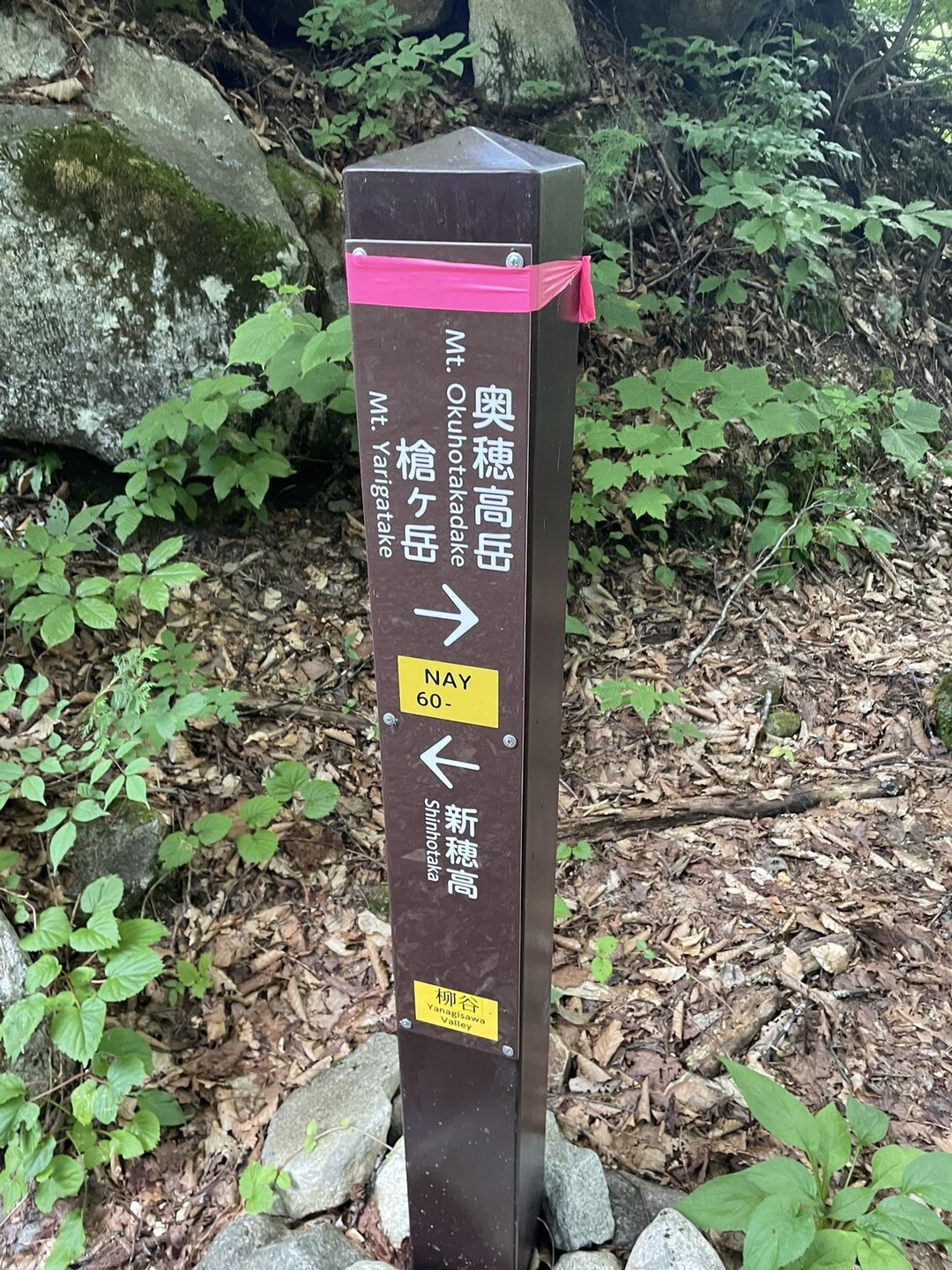 hideshanさんの投稿したフィールドメモ | YAMAP / ヤマップ