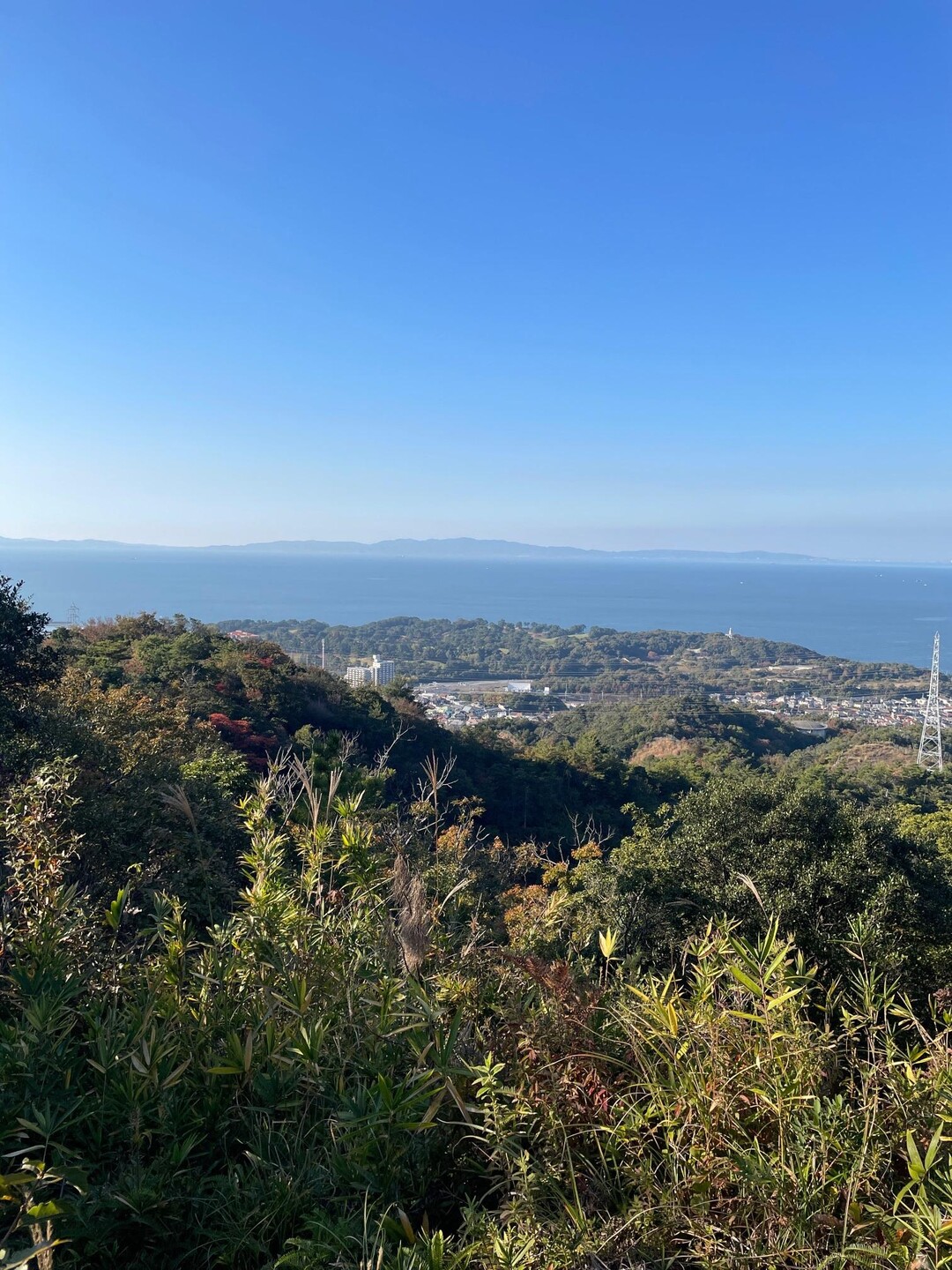 提灯講山・大曲山・飯盛山 / mayumikoさんの紀泉アルプス・飯盛山・ボンデン山の活動データ | YAMAP / ヤマップ