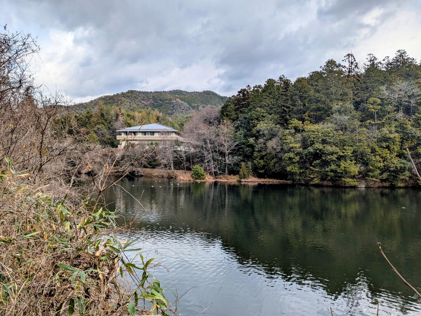 ⛩️京都の山🌝箕ノ裏ヶ岳 / "satoh"さんの金毘羅山・翠黛山・焼杉山の活動データ | YAMAP / ヤマップ