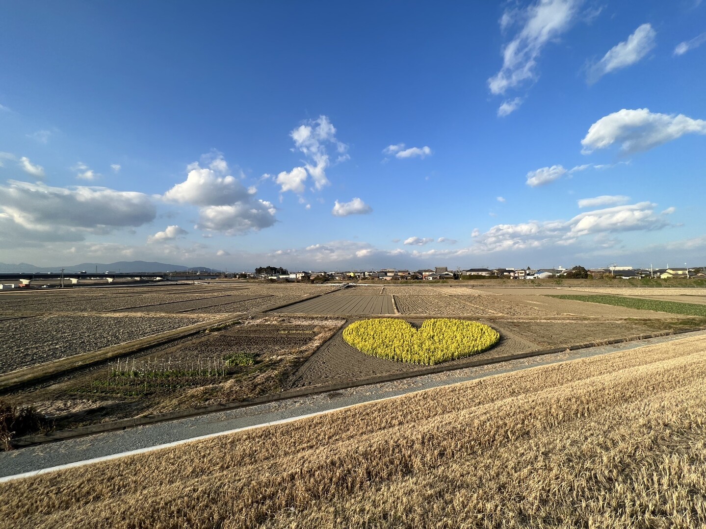 毎年この時期にこれ見るとテンション上がる... / namisuke🐝さんのモーメント | YAMAP / ヤマップ