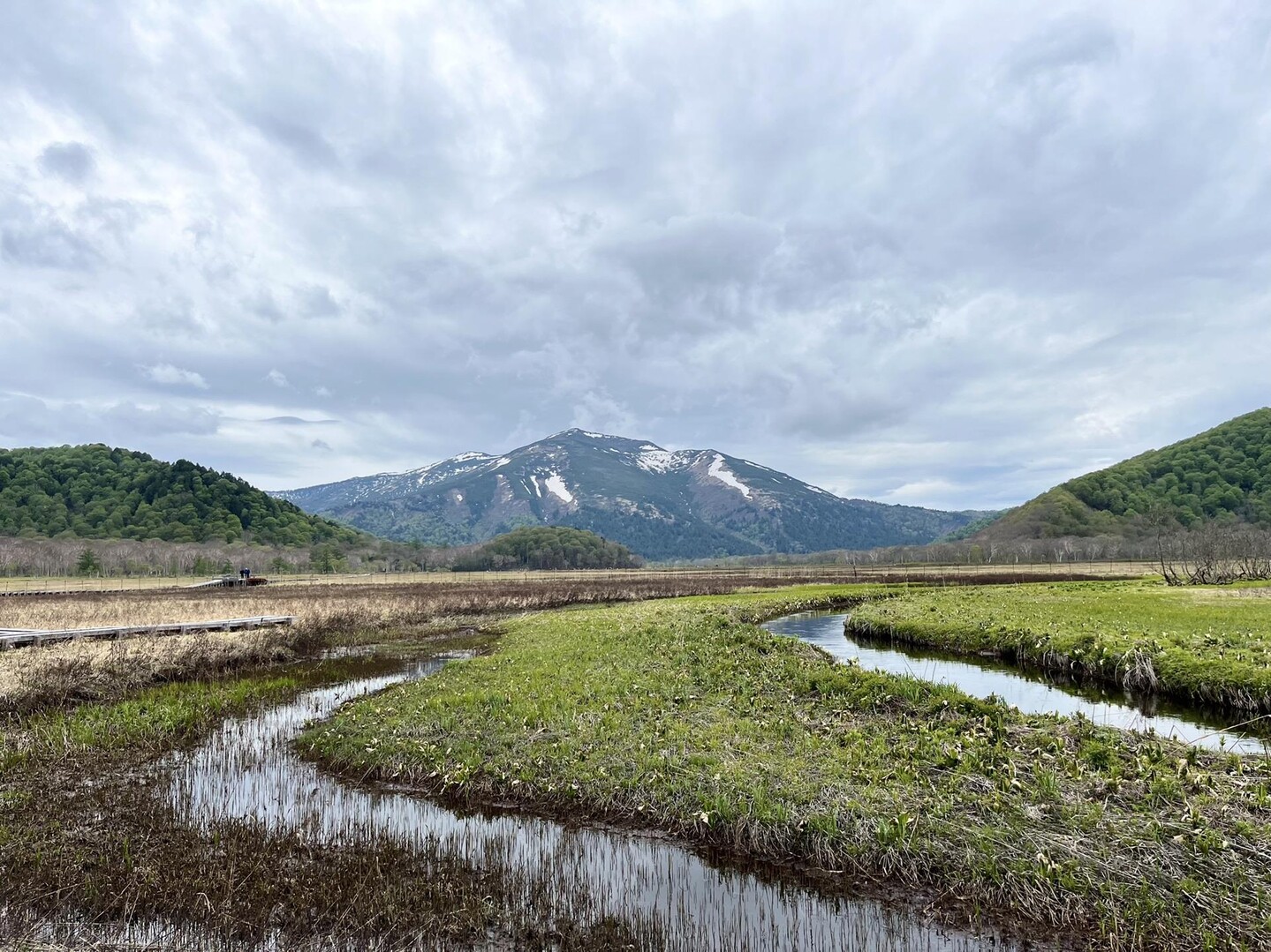 尾瀬ケ原 2023-5-26 / steepbrewさんの尾瀬・至仏山・悪沢岳・笠ヶ岳の活動データ | YAMAP / ヤマップ