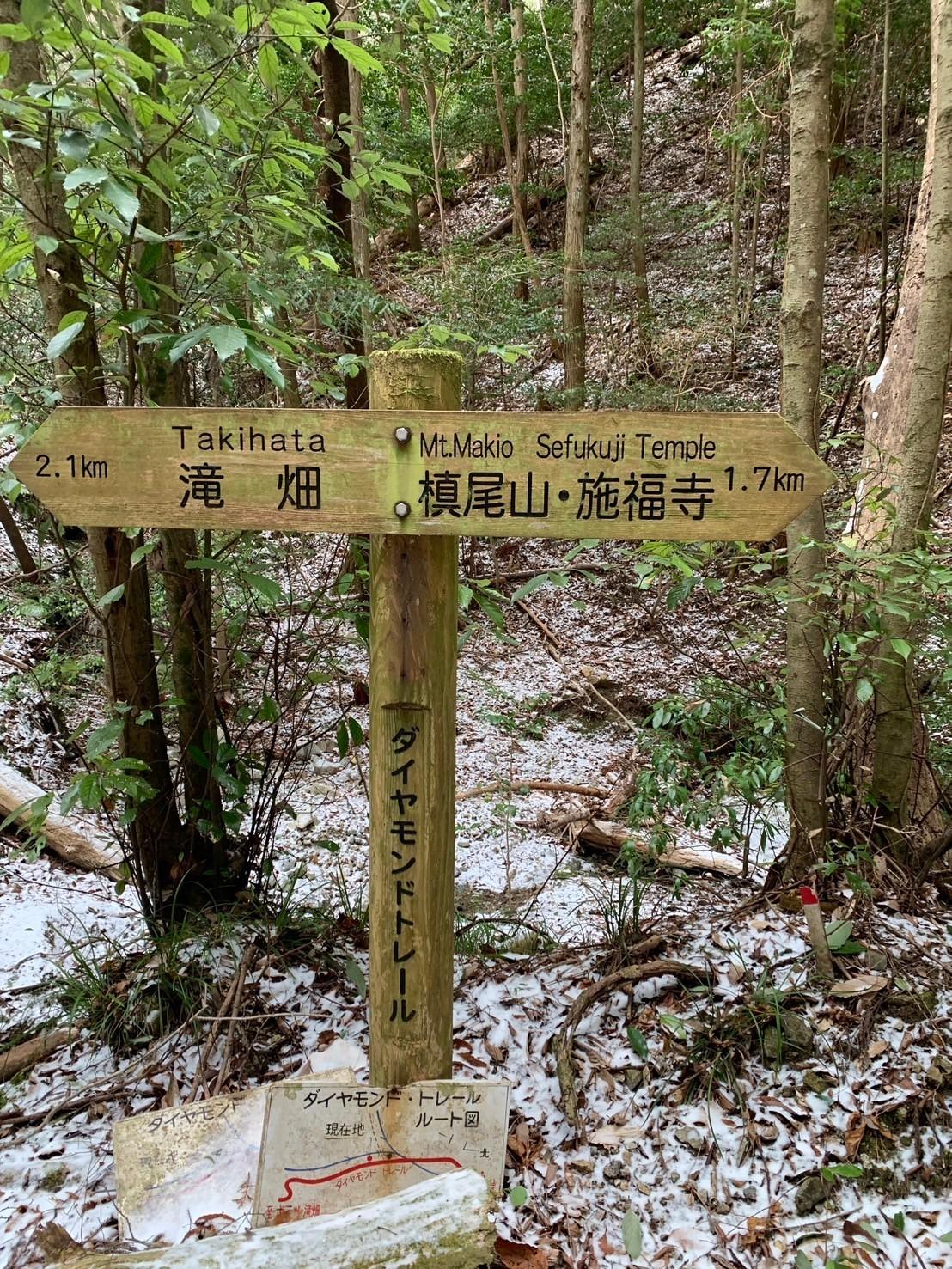 滝畑～施福寺ピストン-2025-02-09 / Taka_mountainさんのハイキングの活動データ | YAMAP / ヤマップ