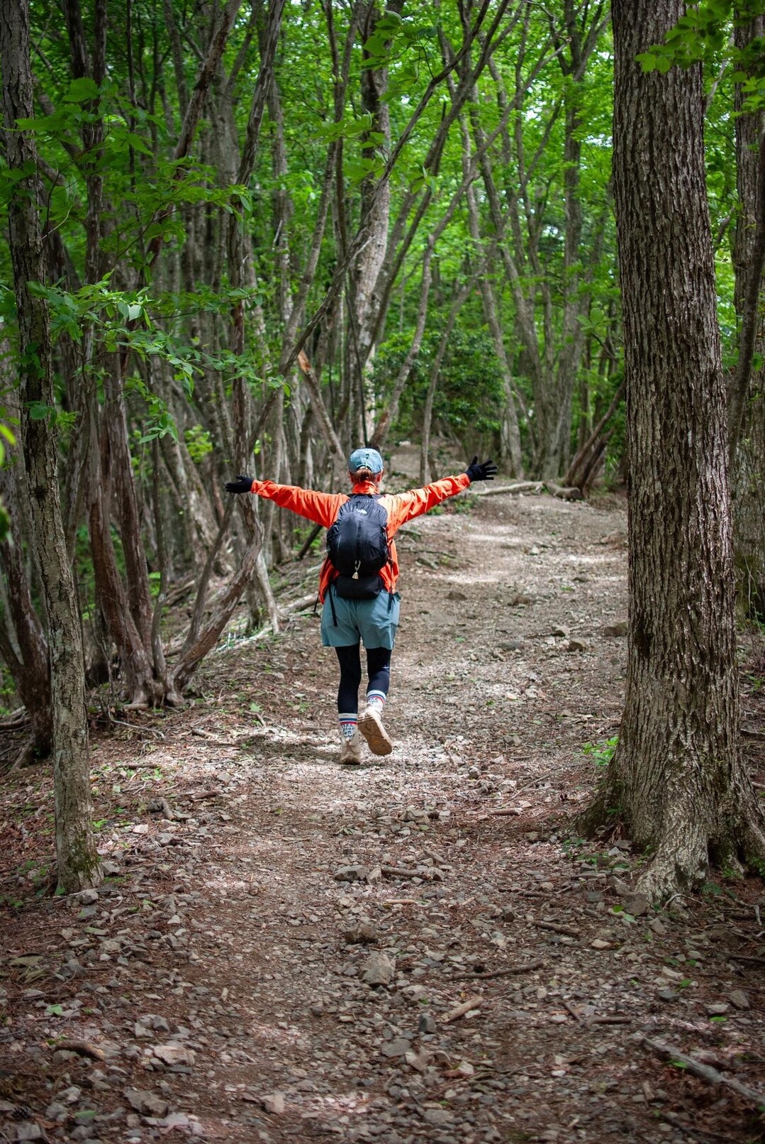『鋸山・大岳山』 まるで修行… / Zekka （Hike-N-Gears）さんの大岳山・御岳山・御前山の活動日記 | YAMAP / ヤマップ