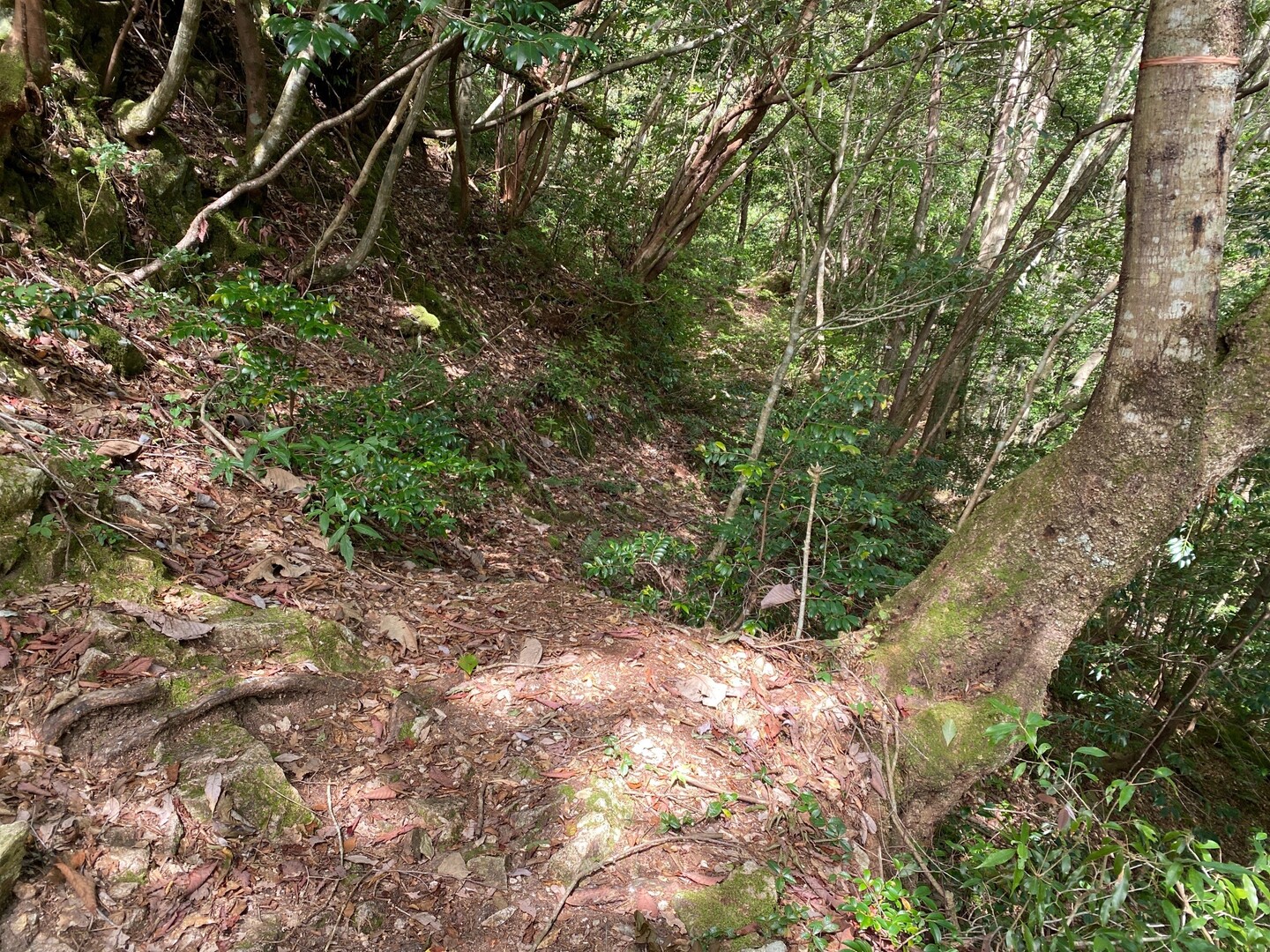 masa7887さんの投稿したフィールドメモ | YAMAP / ヤマップ