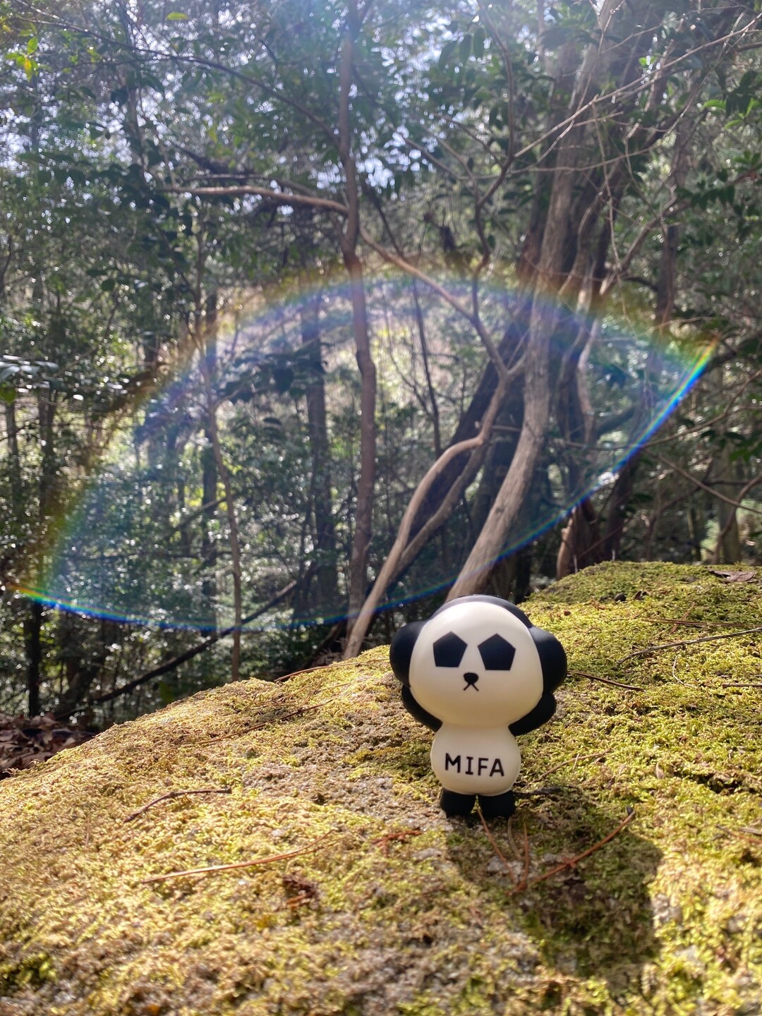 YUKAさんの投稿したフィールドメモ | YAMAP / ヤマップ