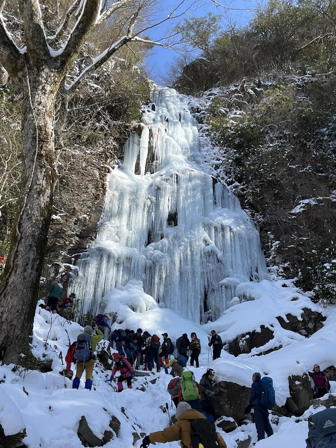 英彦山-2025-02-11 四王寺滝氷瀑 / big treeさんの英彦山の活動データ | YAMAP / ヤマップ
