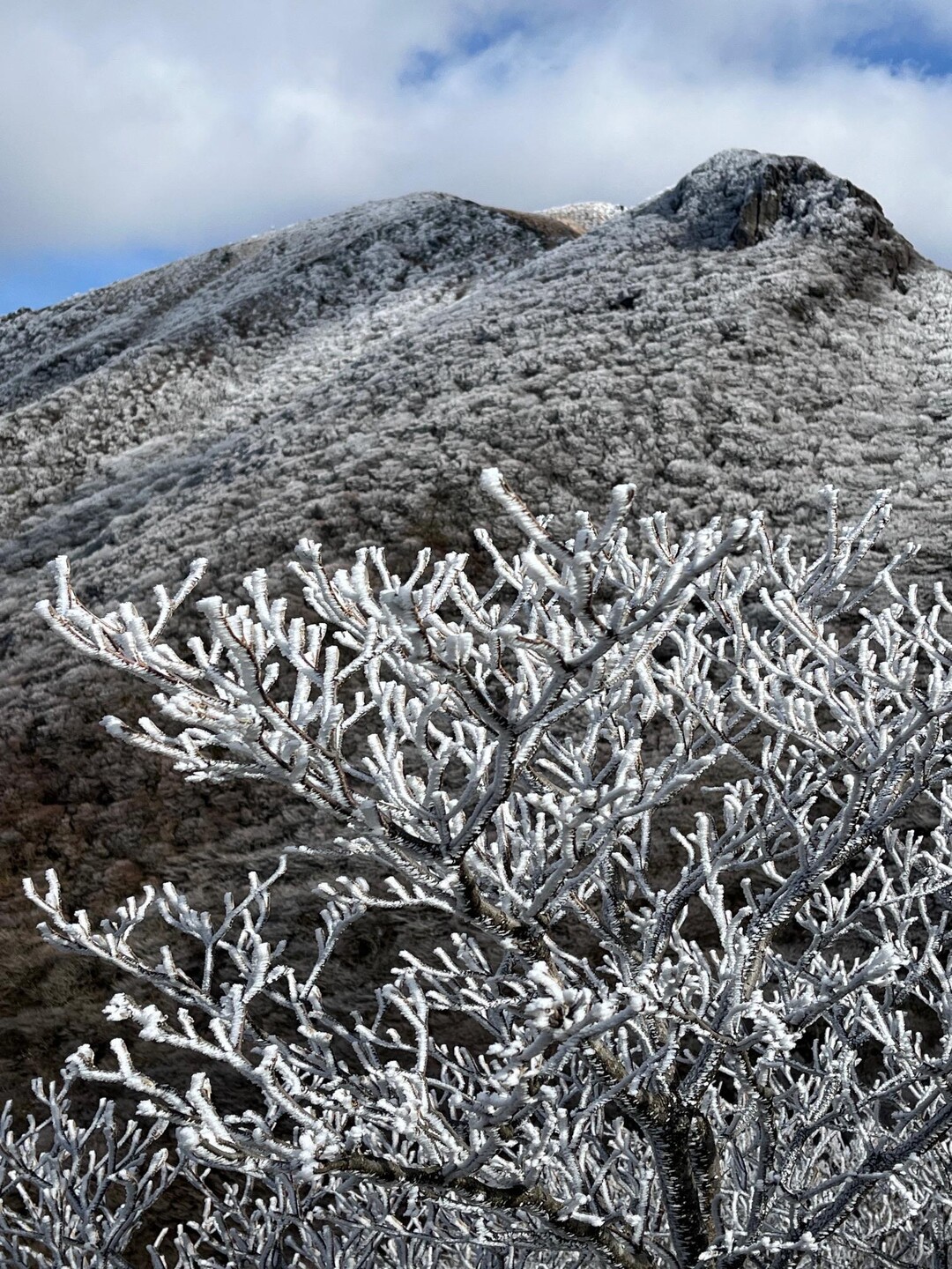 沓掛山・久住山 / wakさんの九重山（久住山）・大船山・星生山の活動日記 | YAMAP / ヤマップ