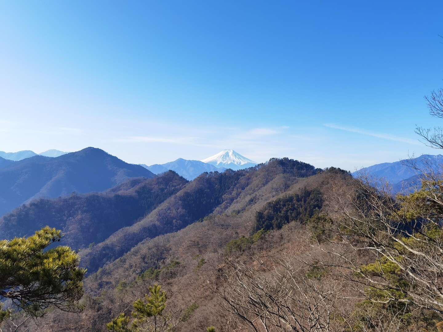 九鬼山 / Kaoruさんの倉岳山・高畑山・九鬼山の活動データ | YAMAP / ヤマップ