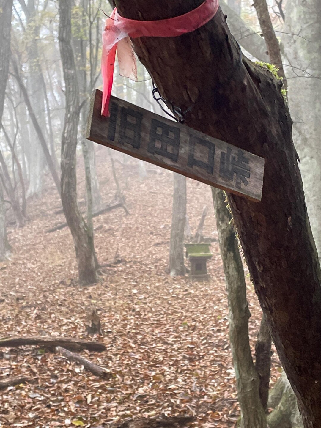 朝活☆兜岩山 (未完結編) / Ru.nさんの荒船山・物語山・大屋山の活動データ | YAMAP / ヤマップ