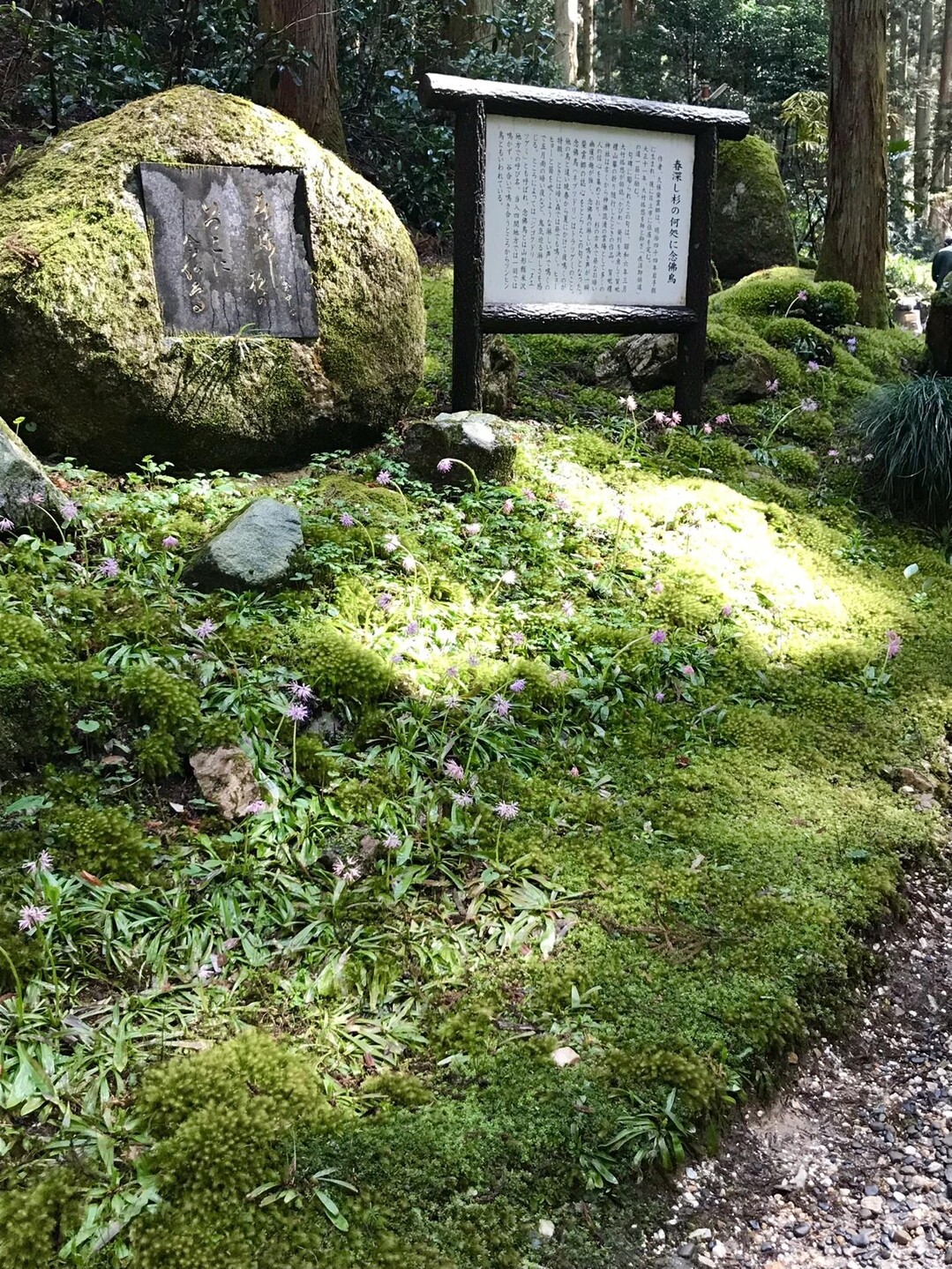 御岩山・高鈴山 ヒデさん、ウッチャン / yskさんの日立アルプストレイル・神峰山（神峯山）の活動データ | YAMAP / ヤマップ