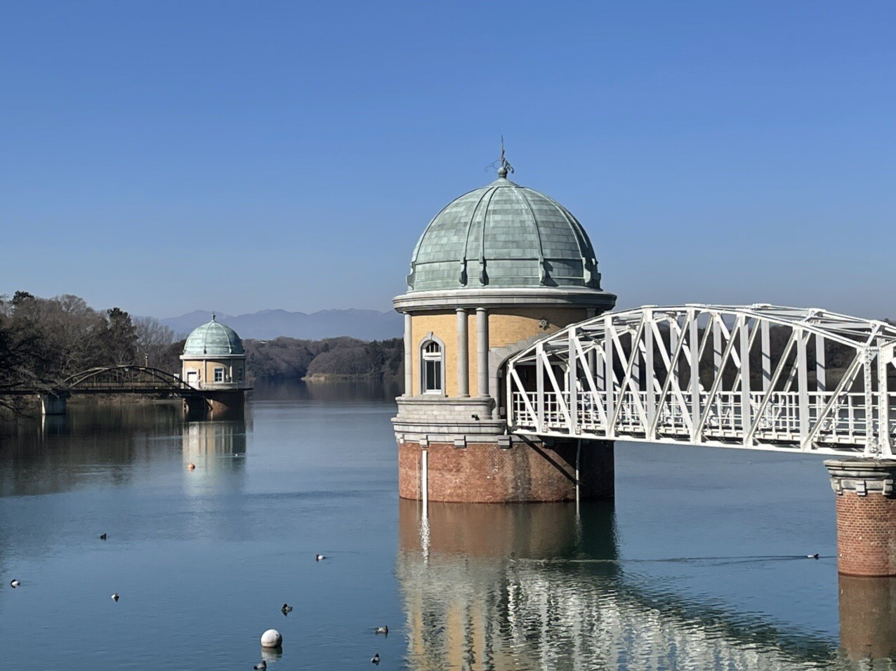 多摩湖-2021-02-06 / SKさんのウォーキングの活動データ | YAMAP / ヤマップ