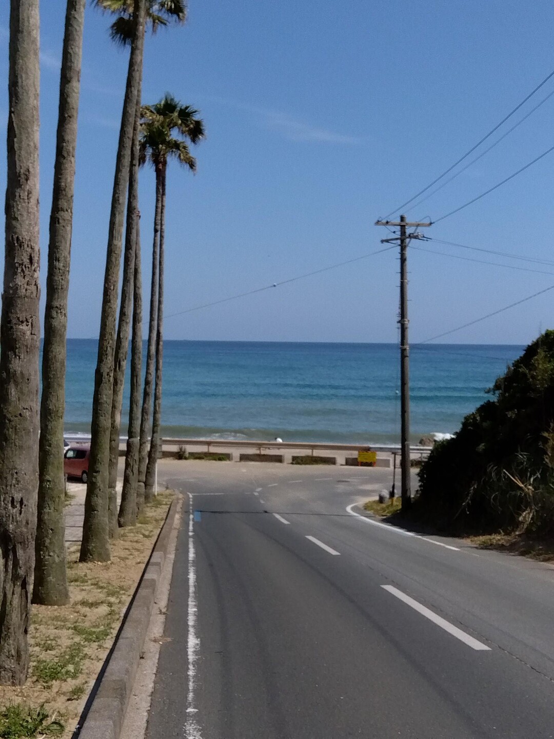 GW2日目は自転車で渥美半島走って来まし... / ピロチさんのモーメント | YAMAP / ヤマップ