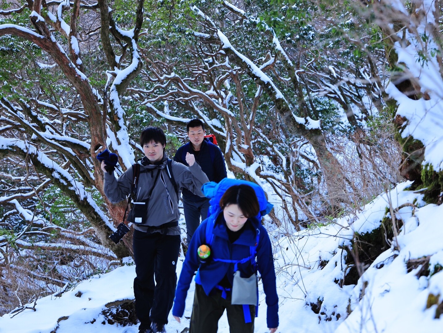 天城山2020-02-29 / mt.suuuさんの天城山・鉢ノ山・三筋山の活動データ | YAMAP / ヤマップ