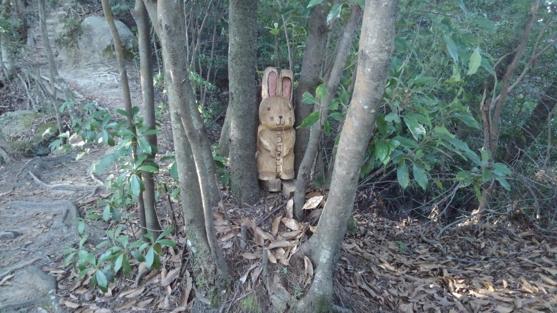 猿投山 / nob3さんの猿投山・物見山の活動データ | YAMAP / ヤマップ