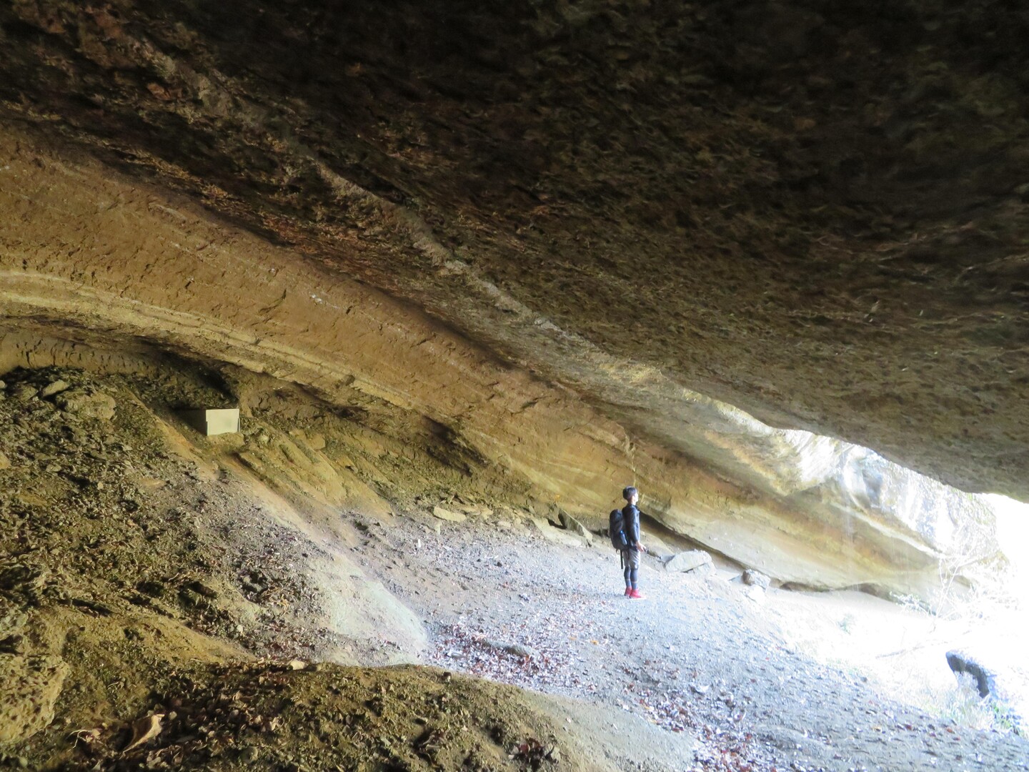 最高の岩山：岩殿山 / sa-sho-さんの倉岳山・高畑山・九鬼山の活動データ | YAMAP / ヤマップ