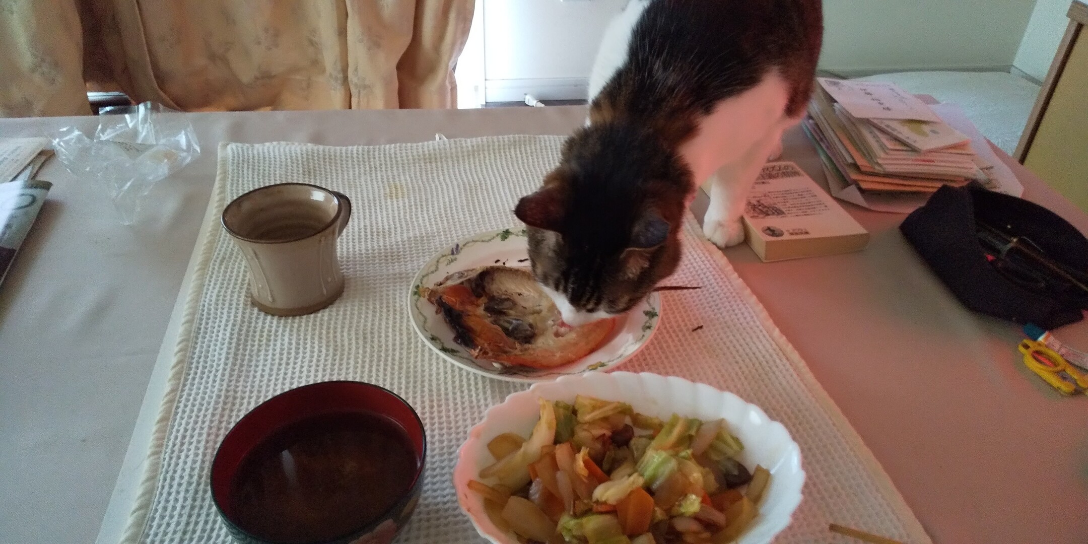 珍しく夕食を作りました😉 スーパーに買... / shigezoさんのモーメント | YAMAP / ヤマップ