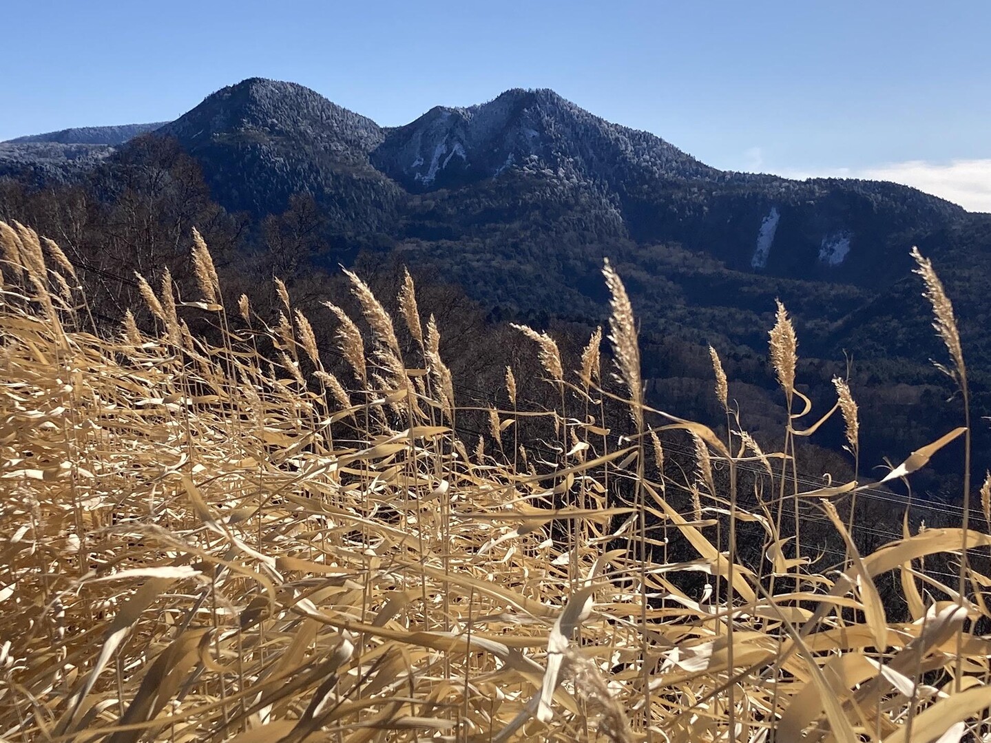 志賀高原-高天ヶ原-2022-12-03... / ゆきのひとひらさんのモーメント | YAMAP / ヤマップ