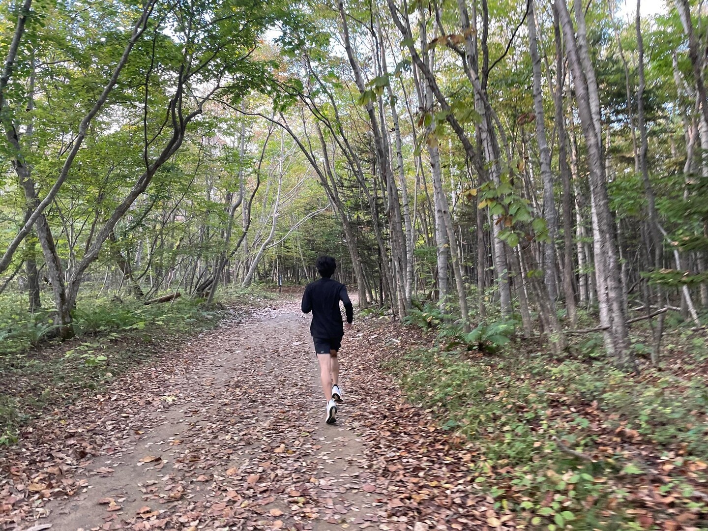 青葉公園ラン / 島ちゃん(島.RC)🌈さんの千歳市の活動データ | YAMAP / ヤマップ