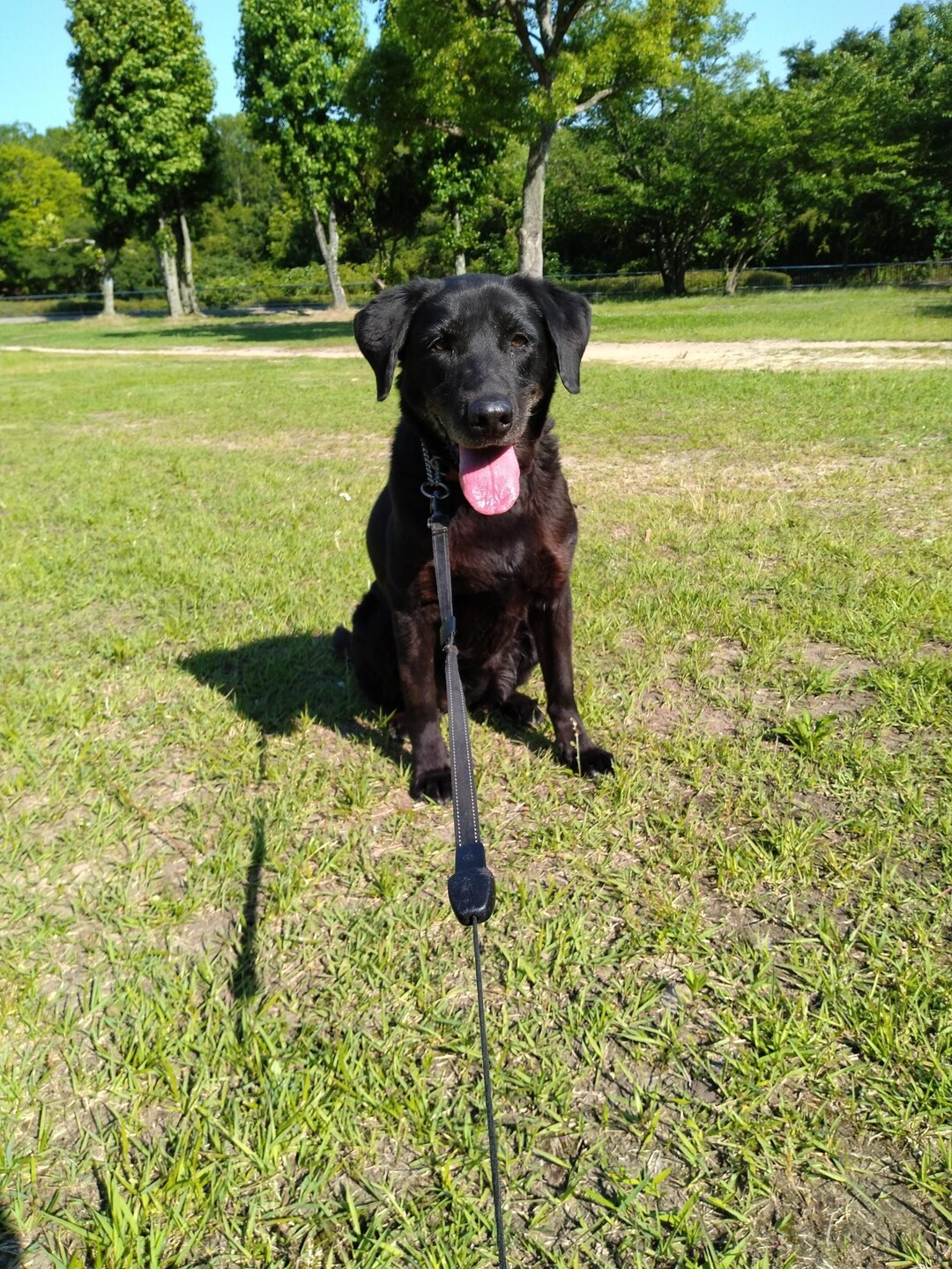 アロハパパのページ | YAMAP / ヤマップ