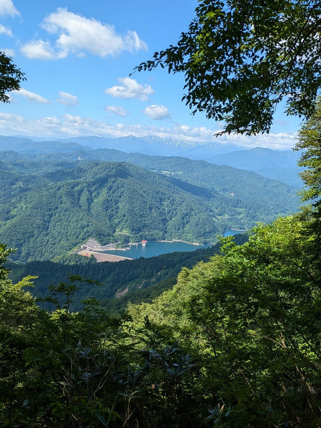 本道寺口〜道刈り完結〜 / 大黒森PJ(旧FCドロンパ)さんの月山の活動データ | YAMAP / ヤマップ