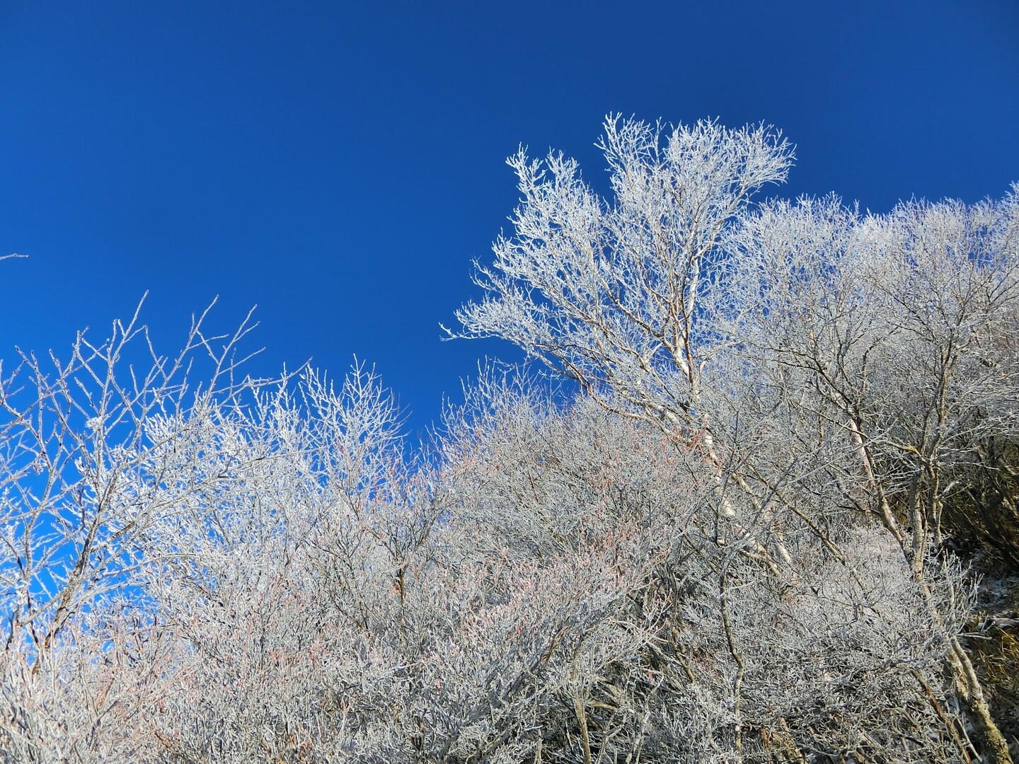駒ヶ岳・黒檜山 / youさんの赤城山・黒檜山・荒山の活動データ | YAMAP / ヤマップ
