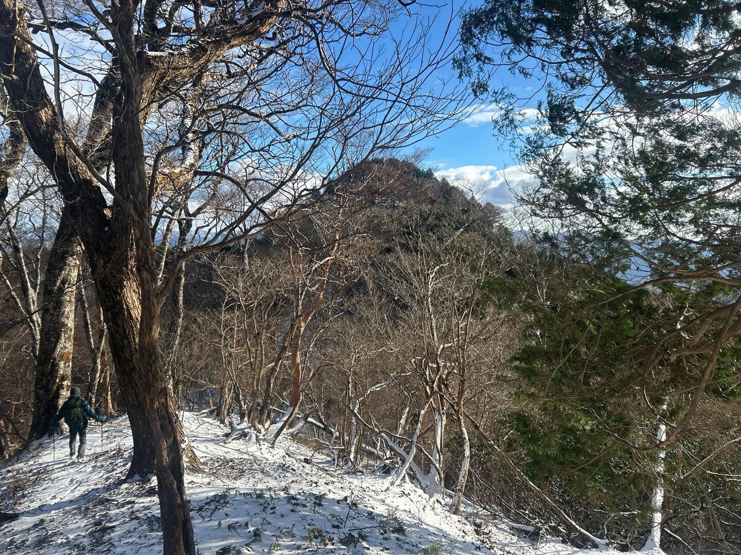 伯母ヶ峯 / Madelineさんの大台ヶ原山・日出ヶ岳・大杉谷の活動データ | YAMAP / ヤマップ