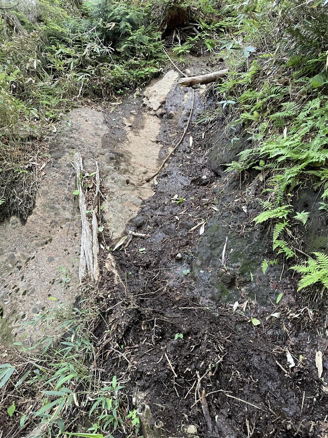 m.yuiさんの投稿したフィールドメモ | YAMAP / ヤマップ