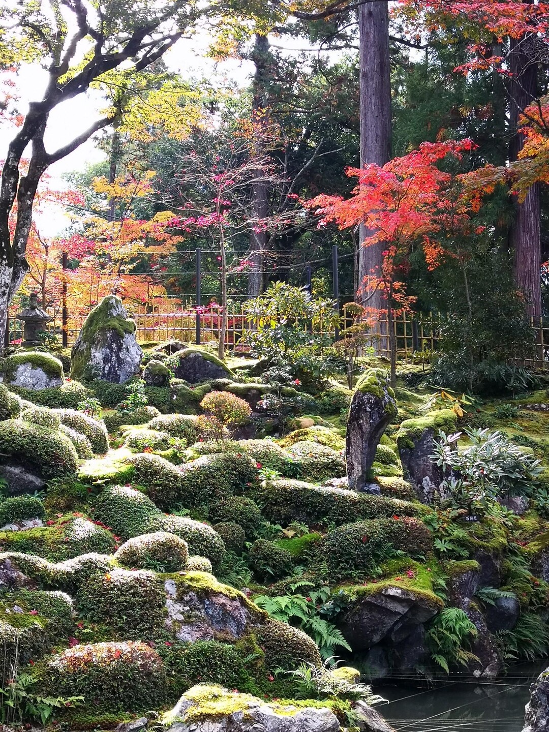 湖東三山 西明寺の素晴らしい紅葉と苔 / yoyoさんの登山の活動データ | YAMAP / ヤマップ