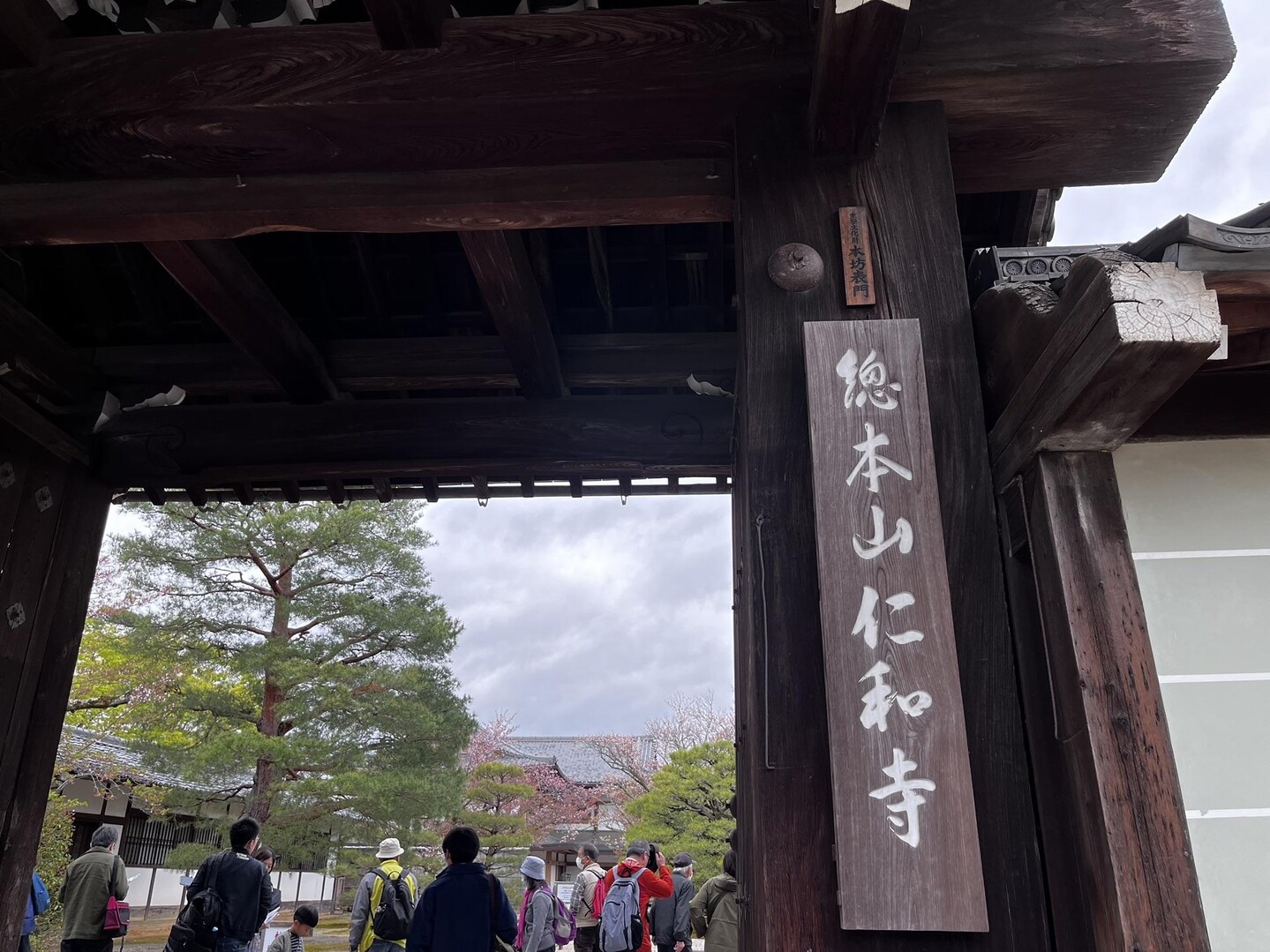 まだ間に合う…仁和寺の桜🌸 http... / minnさんのモーメント | YAMAP / ヤマップ