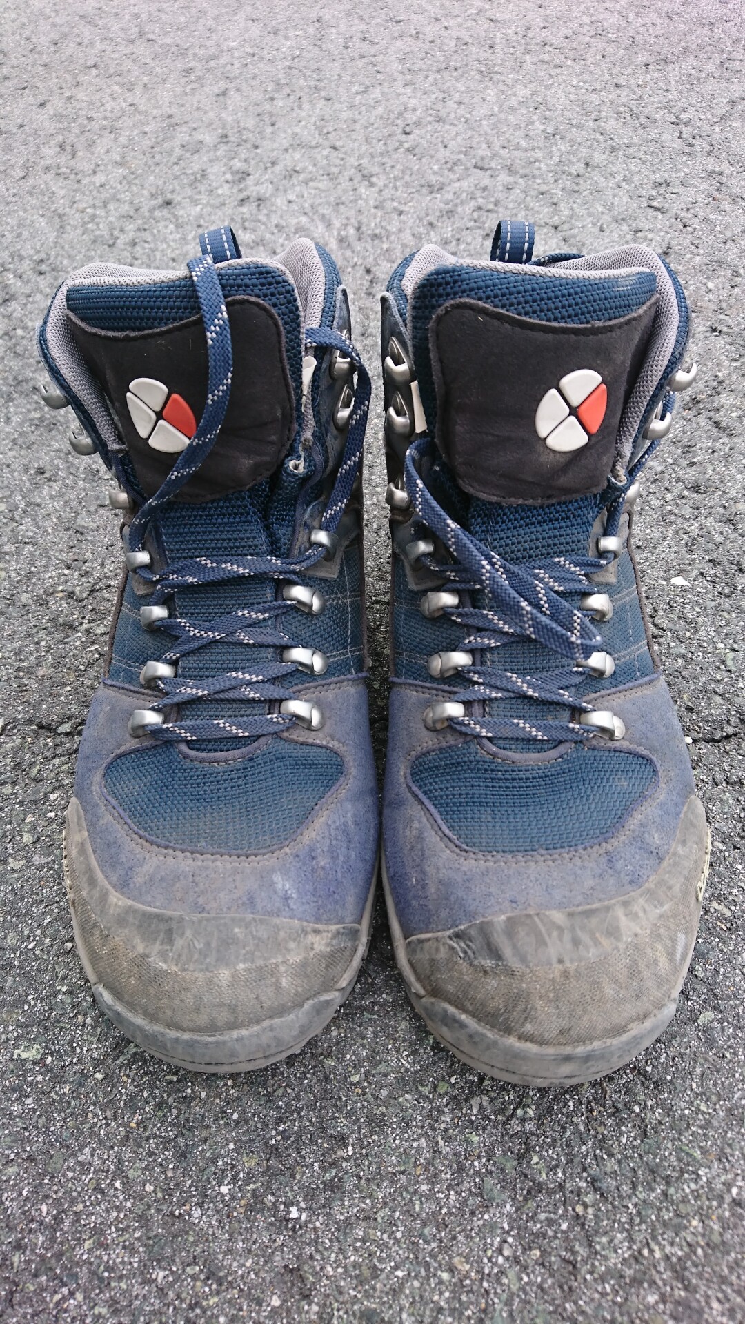 2022. 5/19㈭阿蘇高岳、中岳下山... / Yuzoさんのモーメント | YAMAP / ヤマップ