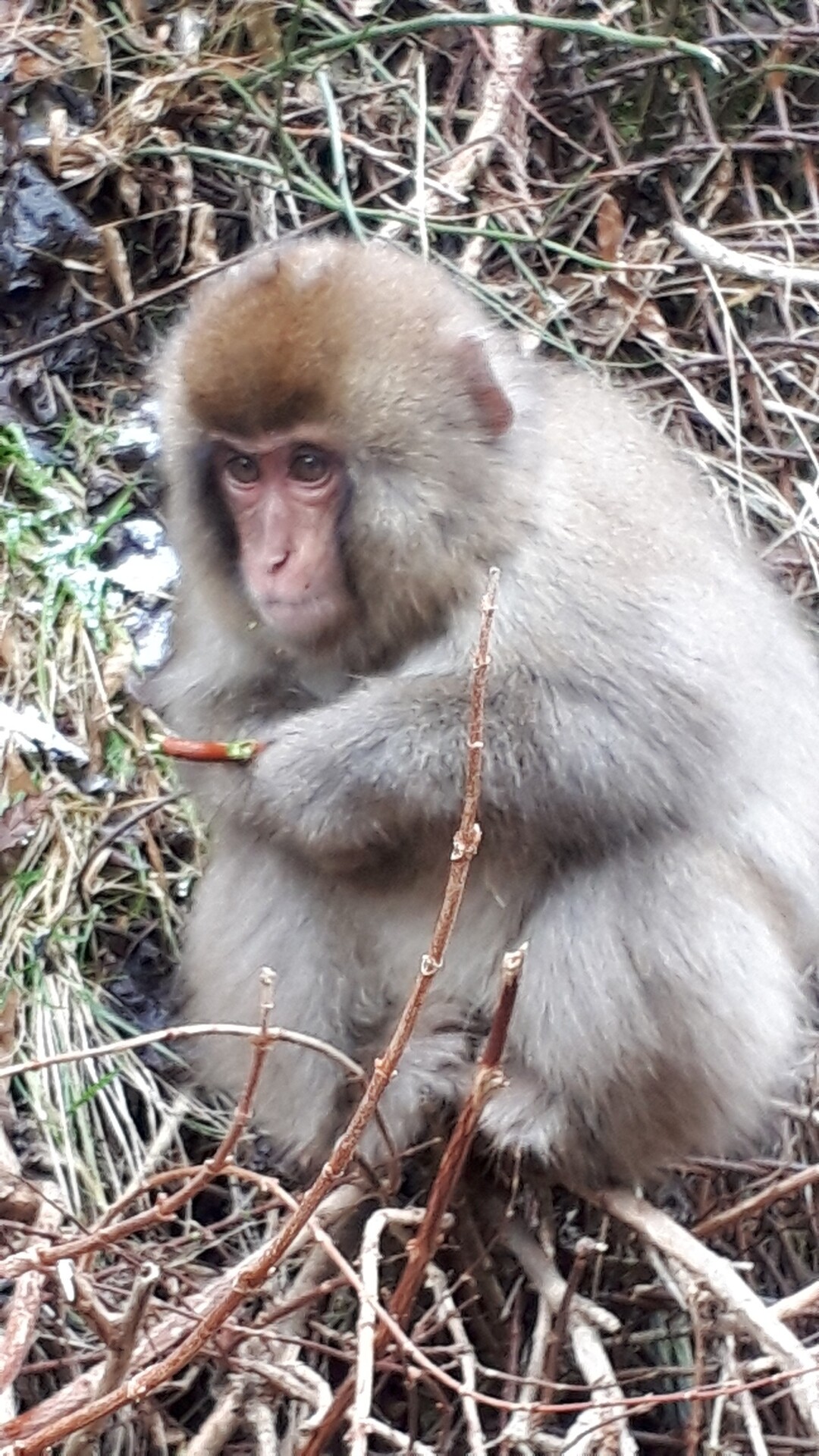 kabekkeのページ | YAMAP / ヤマップ