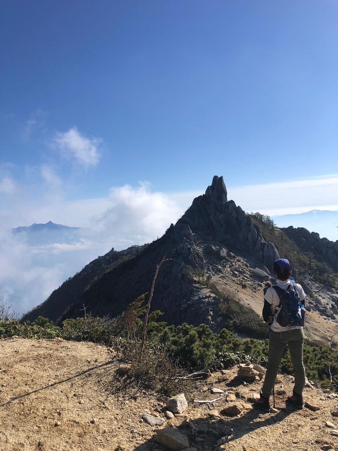 鳳凰三山 夜叉神峠からテン泊 / naniさんの鳳凰山・地蔵岳・観音岳・薬師岳の活動データ | YAMAP / ヤマップ