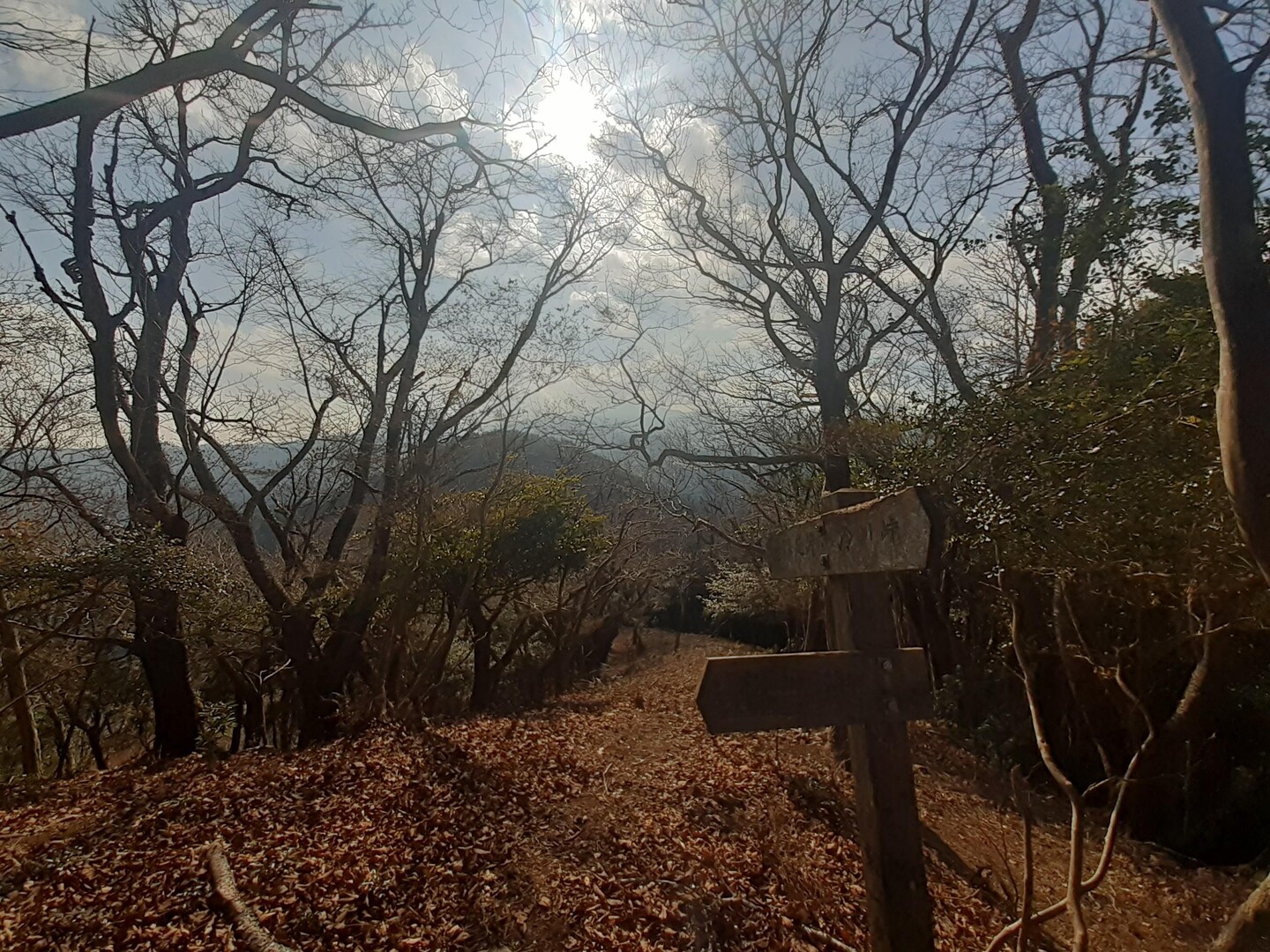 ko usさんの投稿したフィールドメモ | YAMAP / ヤマップ