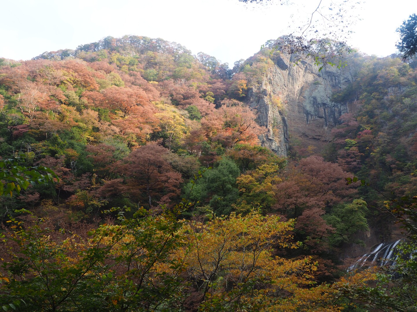 常陸国 キャンペーン～生瀬富士 / N7さんの奥久慈男体山・月居山・篭岩（篭岩山）の活動データ | YAMAP / ヤマップ