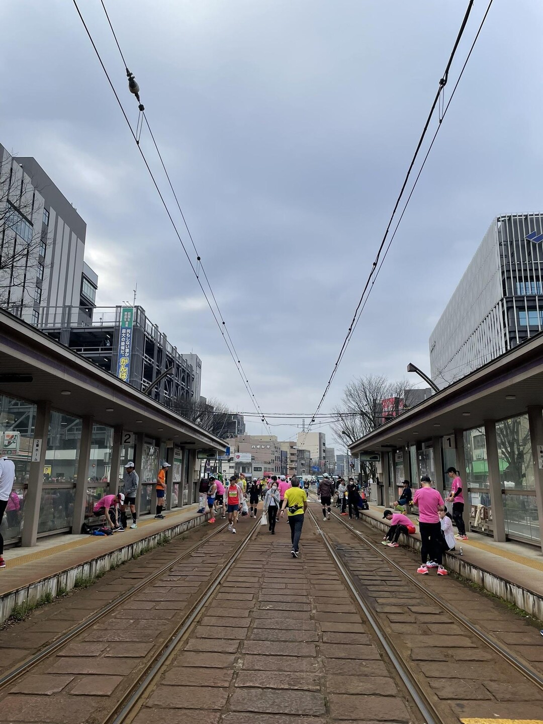 ふくい桜マラソン🌸 まもなくスタート！... / BMさんのモーメント | YAMAP / ヤマップ