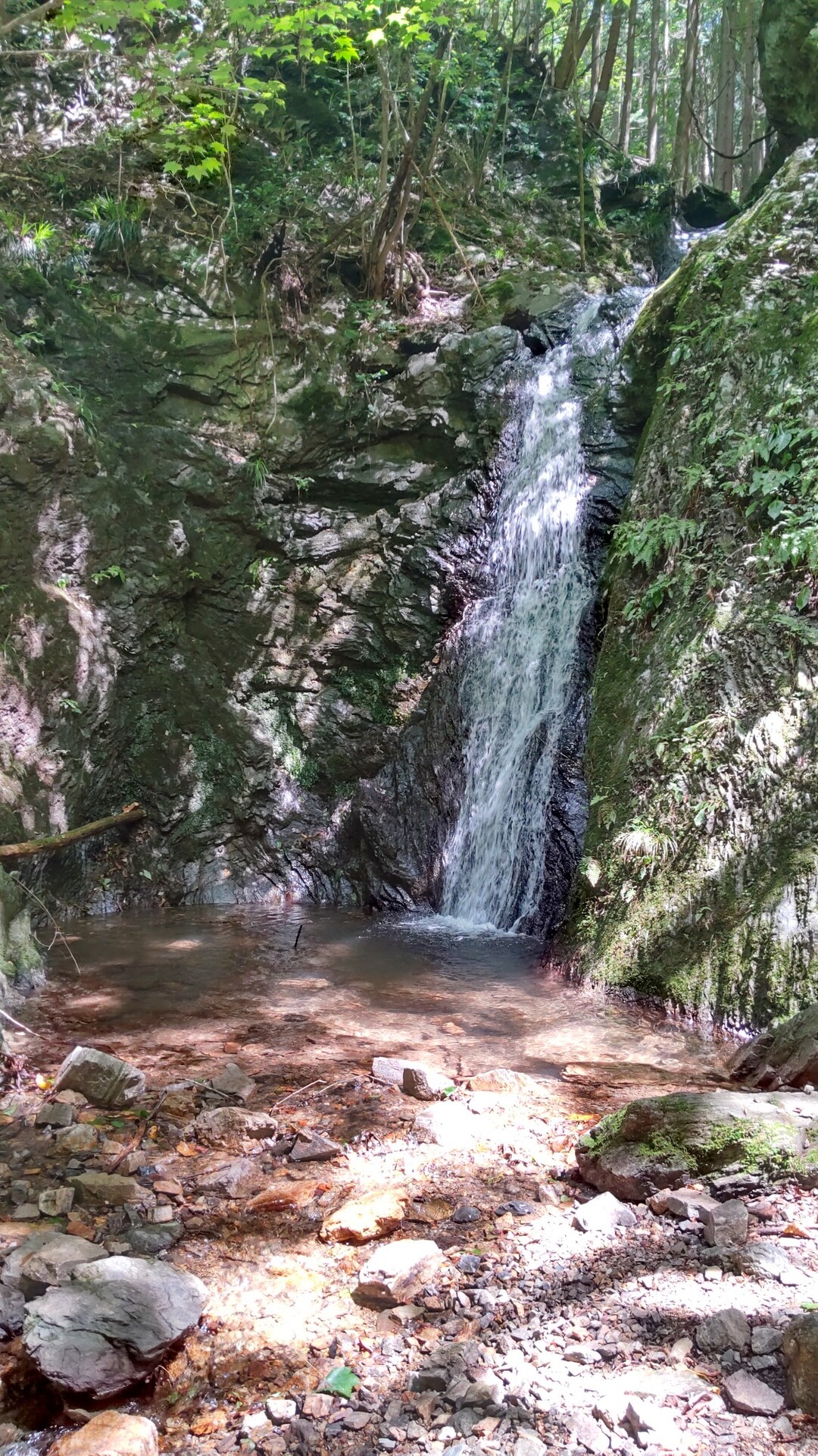 shotaさんの投稿したフィールドメモ | YAMAP / ヤマップ