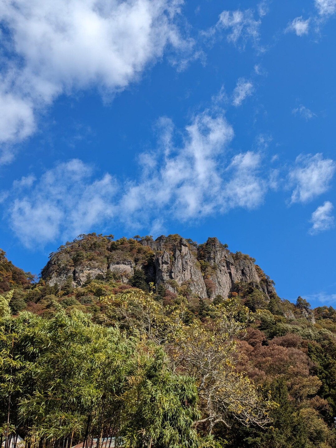 岩櫃山 / a24さんの岩櫃山・薬師岳・吾嬬山の活動データ | YAMAP / ヤマップ