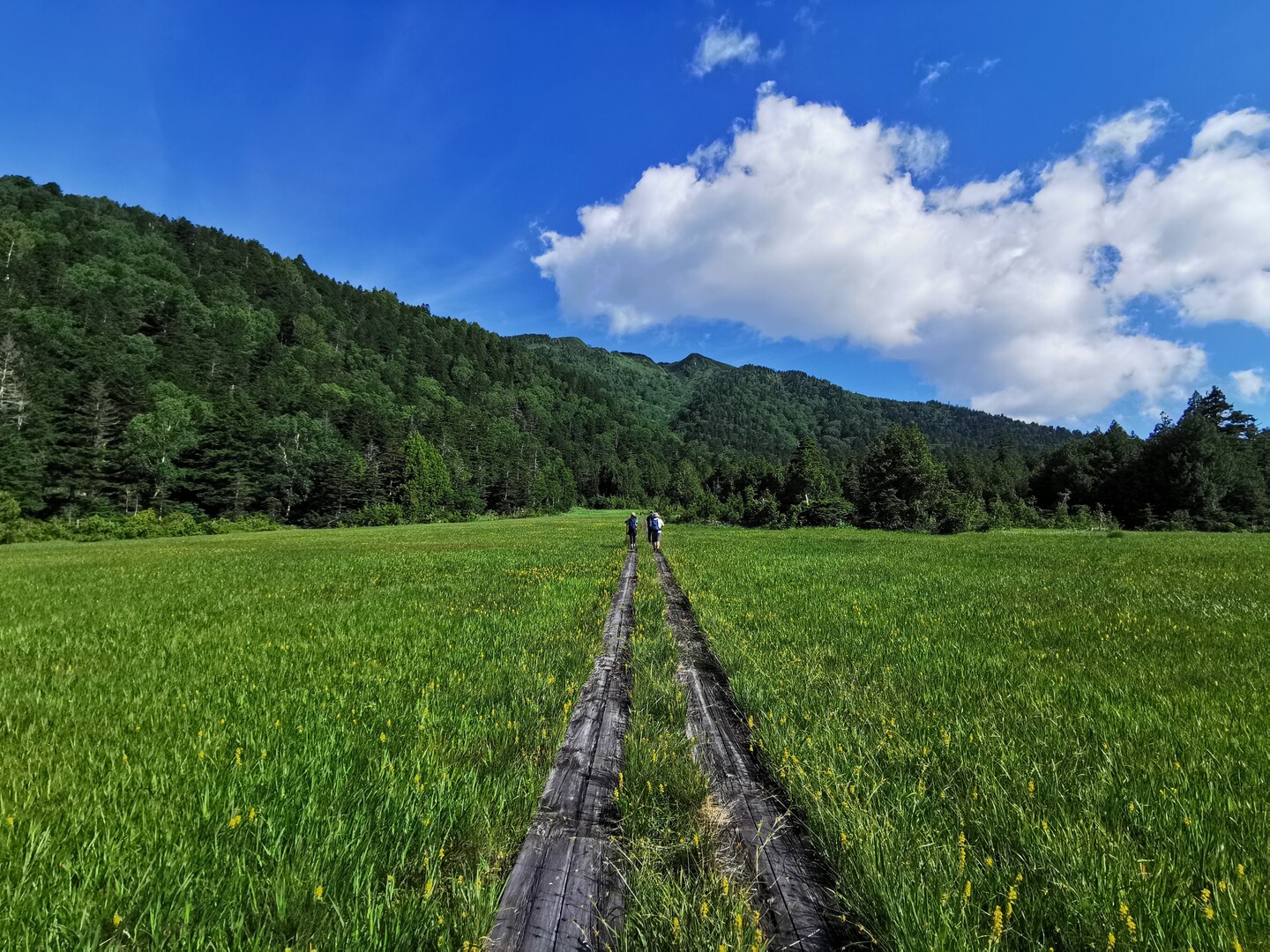 Take to the Sky🌻尾瀬沼散策と燧ヶ岳⛰️ / PEAKERさんの尾瀬・燧ヶ岳の活動データ | YAMAP / ヤマップ