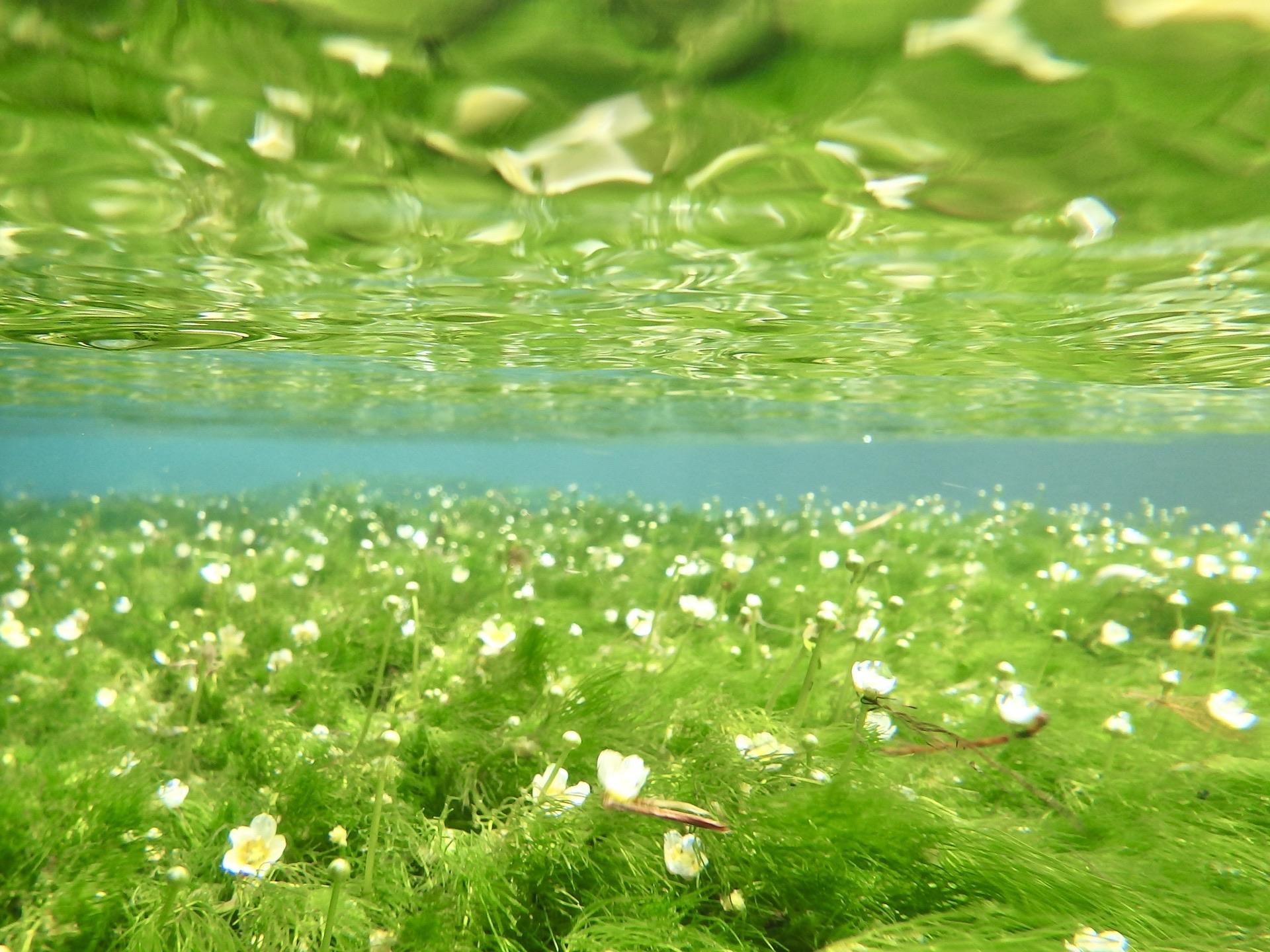 清滝山 / Lacbleuさんの霊仙山の活動データ | YAMAP / ヤマップ