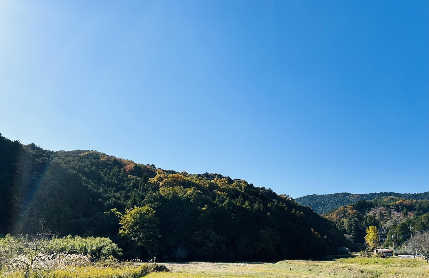 のんびりおごせで山歩き / mieeさんの大高取山の活動データ | YAMAP / ヤマップ