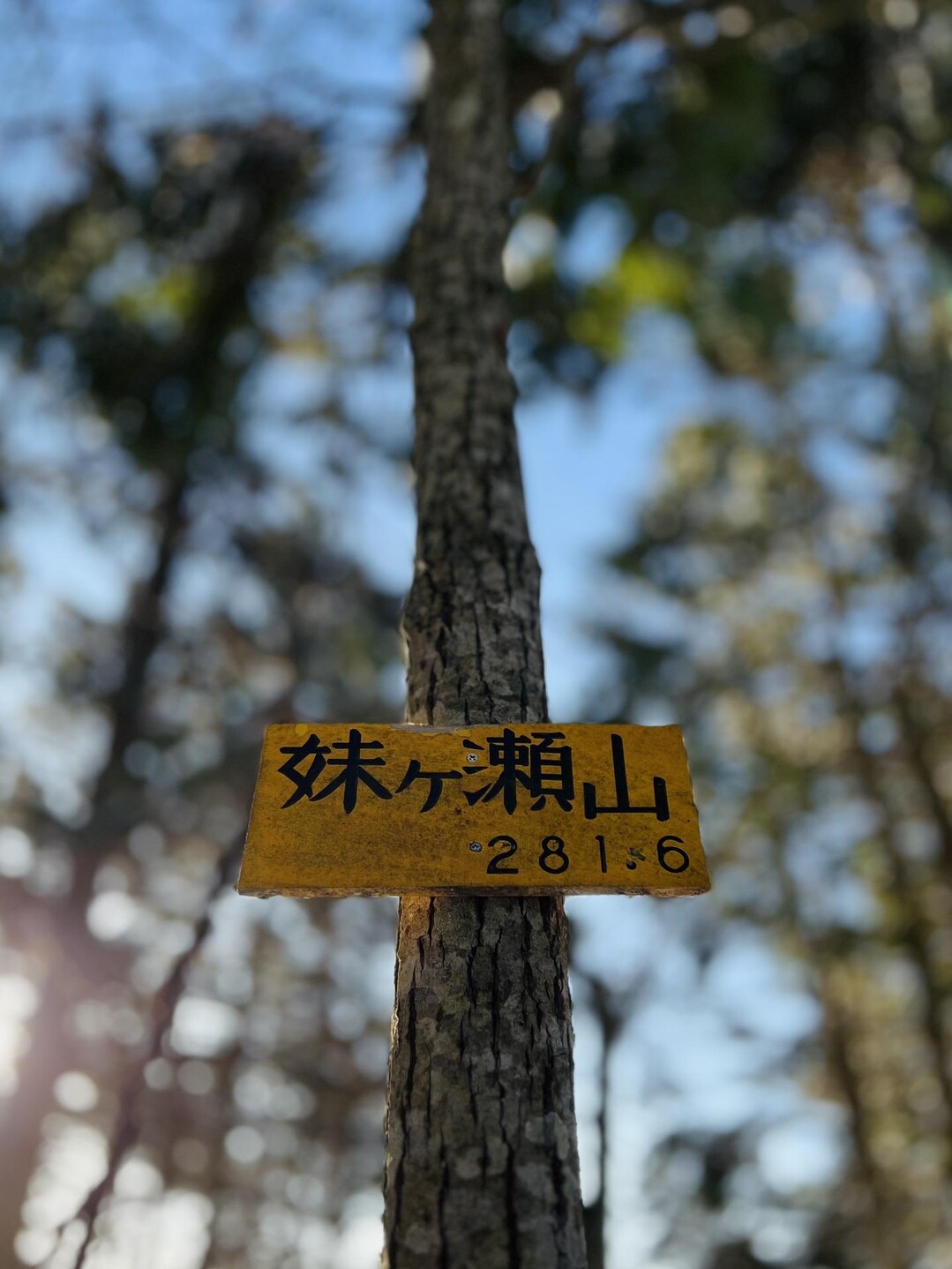 妹ヶ瀬山 281.6m / FUM!さんの御料山の活動データ | YAMAP / ヤマップ