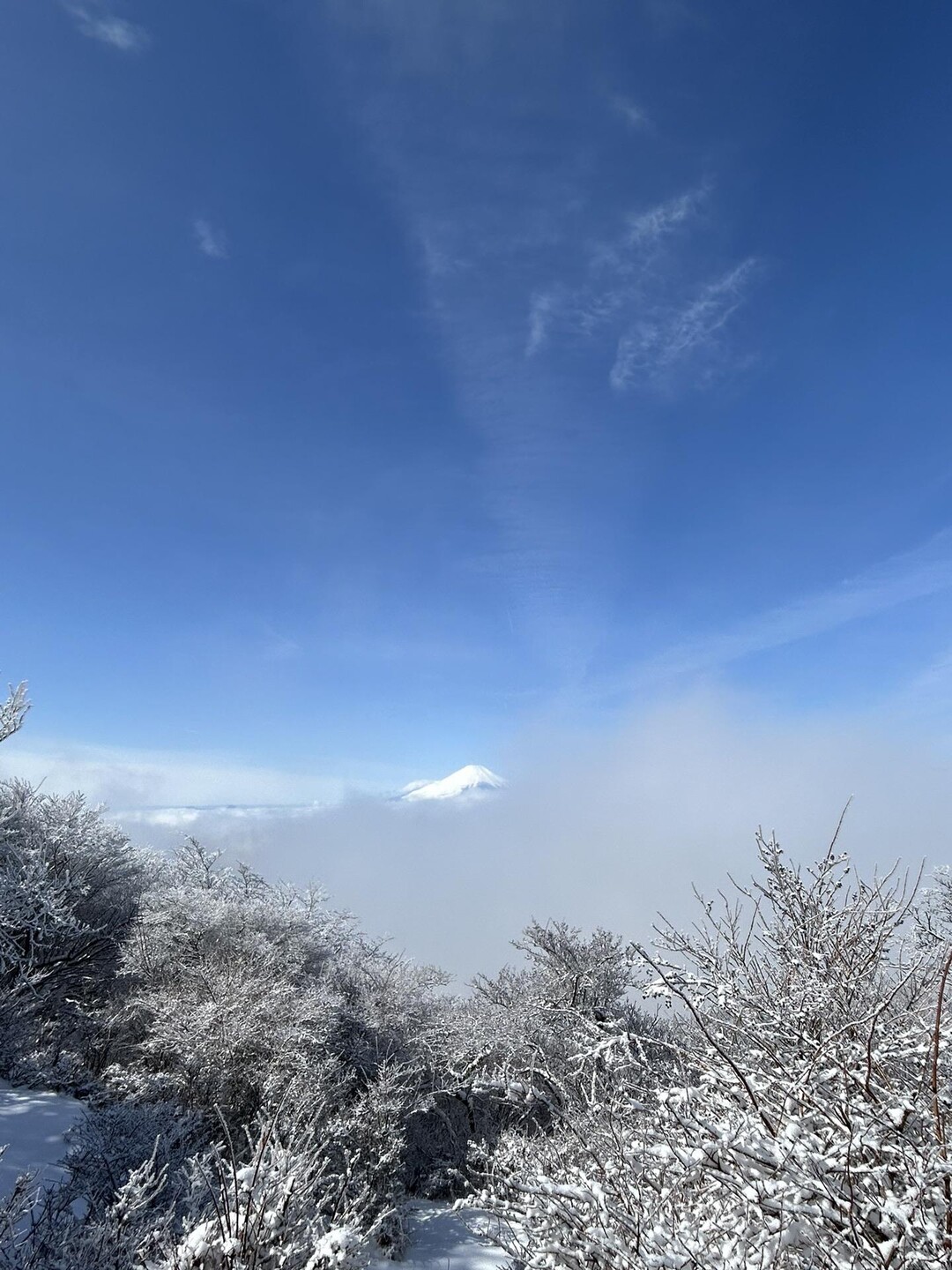第4回 神奈川県 大山@雪道 龍神の雲現る / Eddieさんの大山の活動データ | YAMAP / ヤマップ