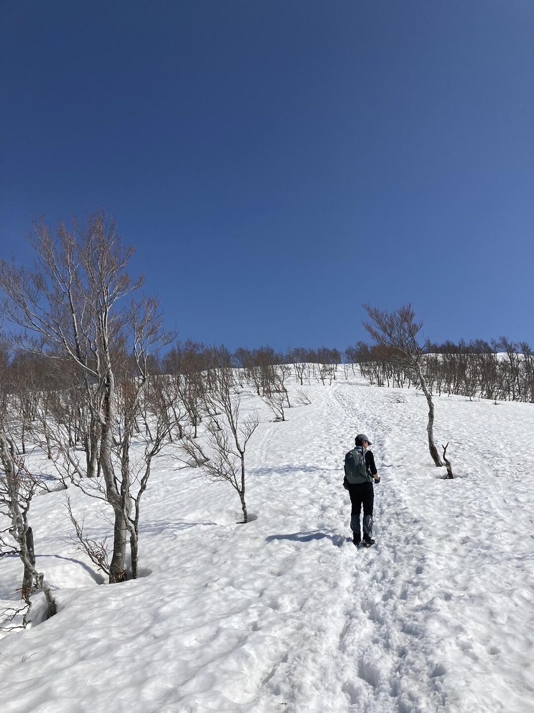 取立山 / mi_chicoさんの取立山の活動データ | YAMAP / ヤマップ